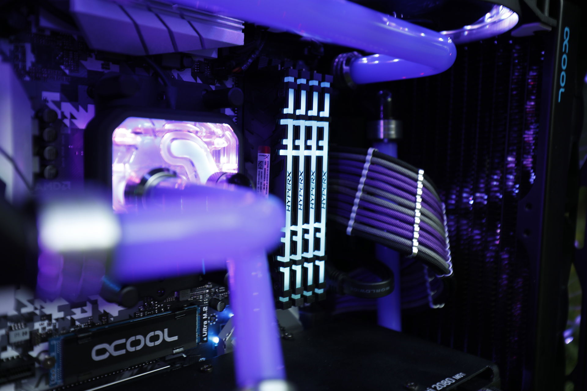 Clean Purple » builds.gg