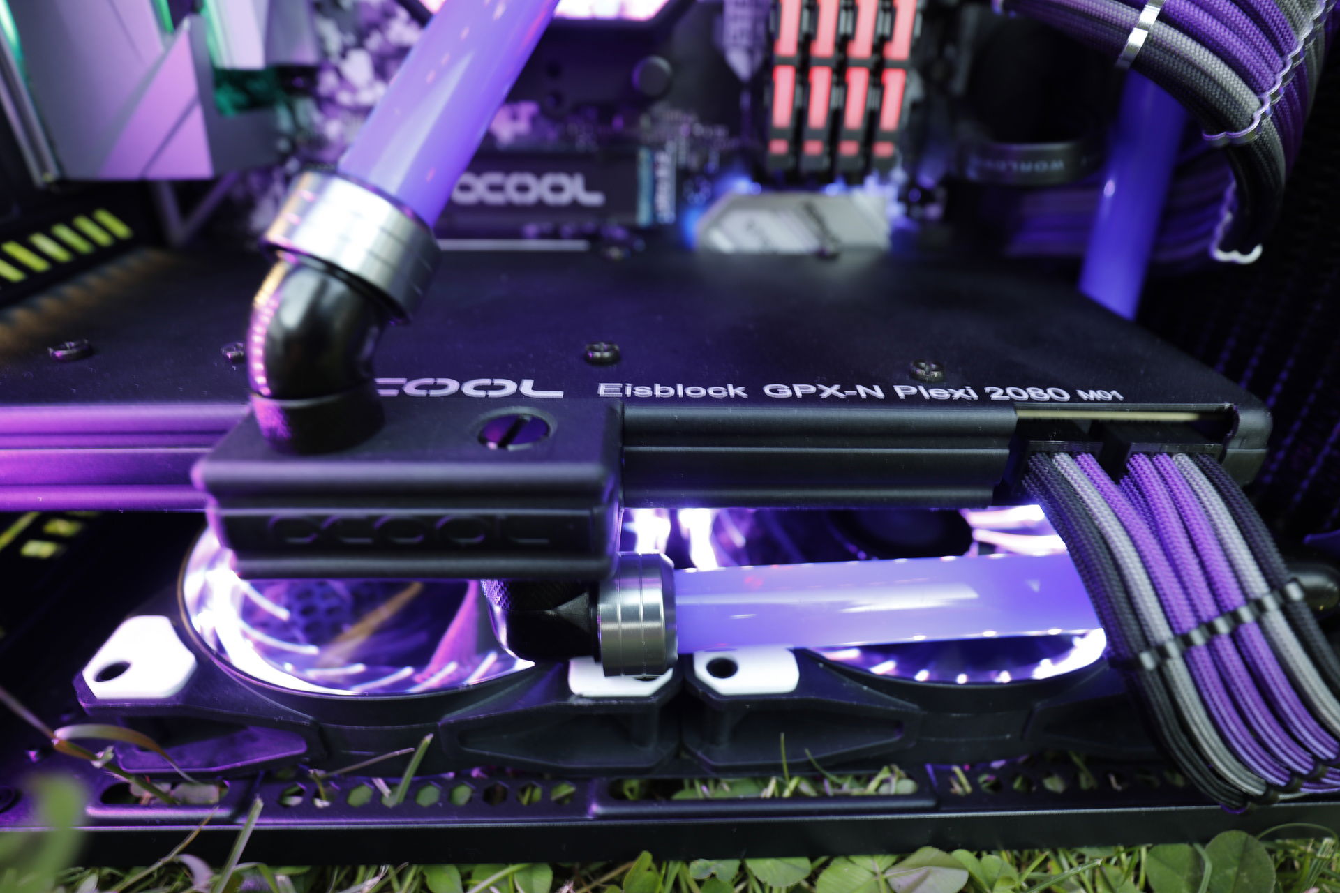 Clean Purple » builds.gg