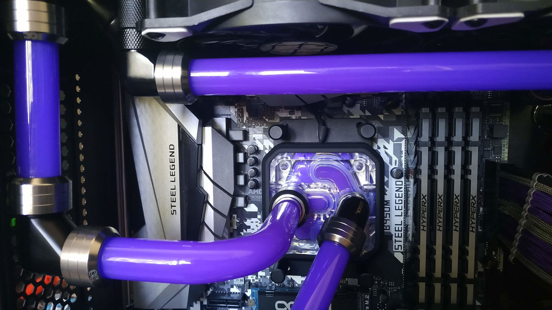 Clean Purple » builds.gg