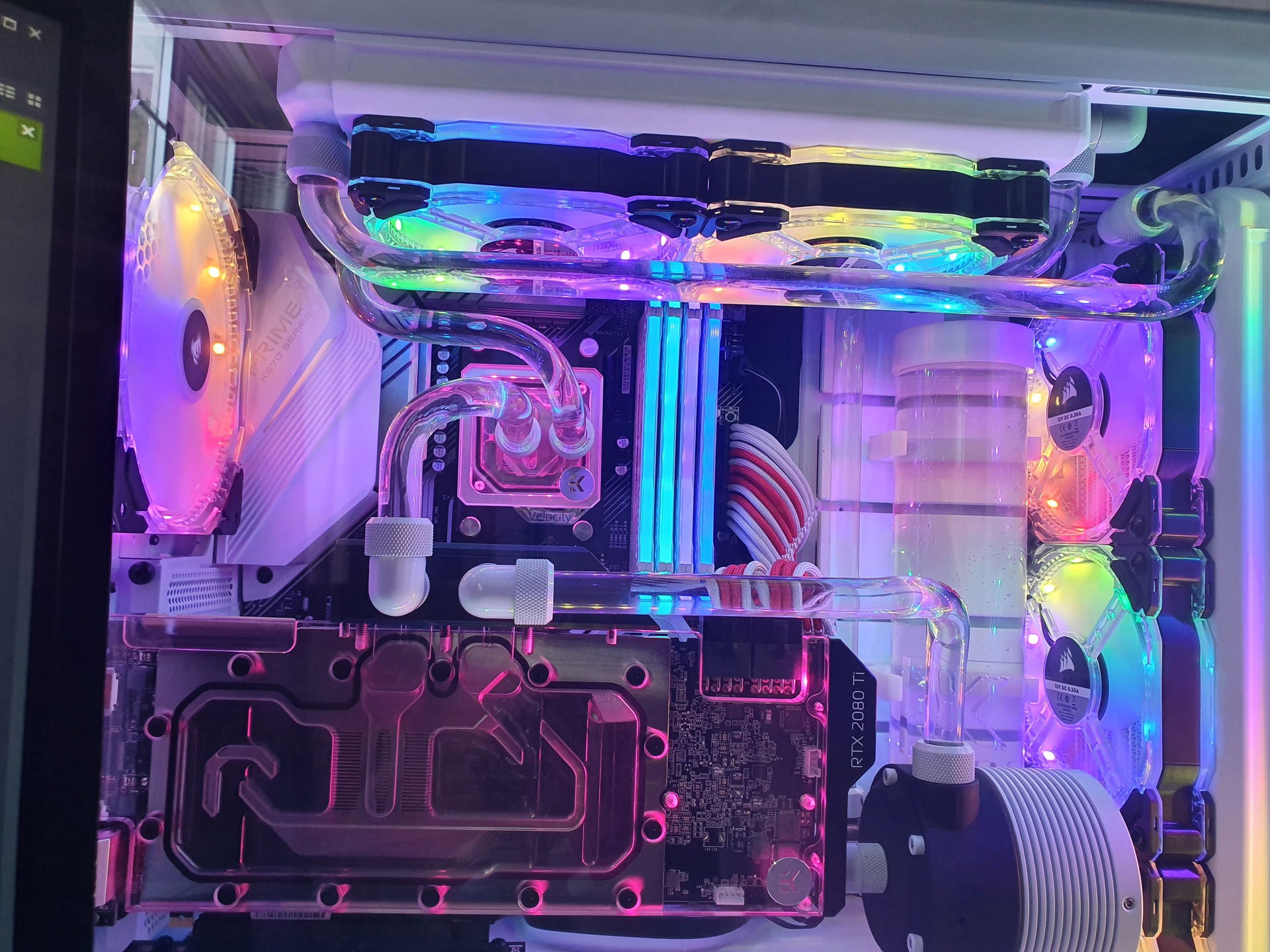 RGB Life » builds.gg