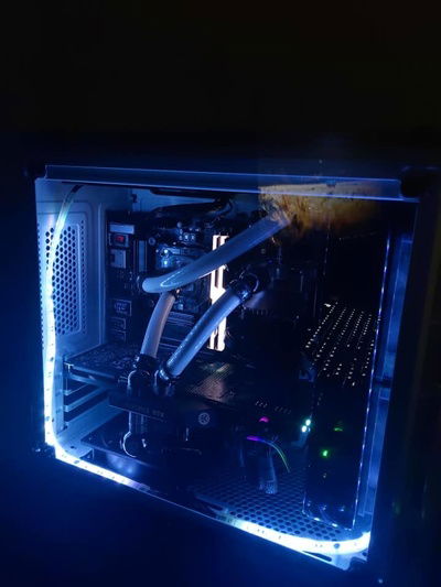 Cold Blooded » builds.gg