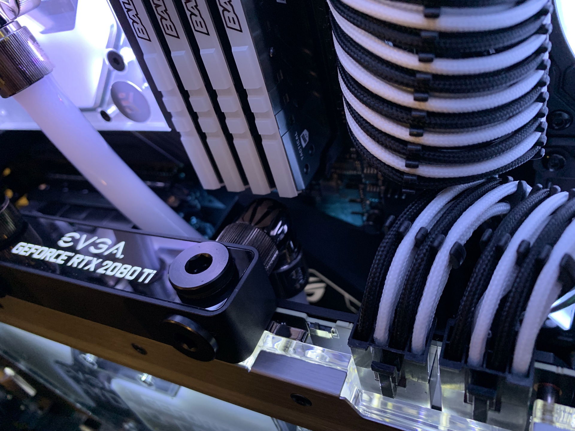My First Custom Liquid Loop » builds.gg