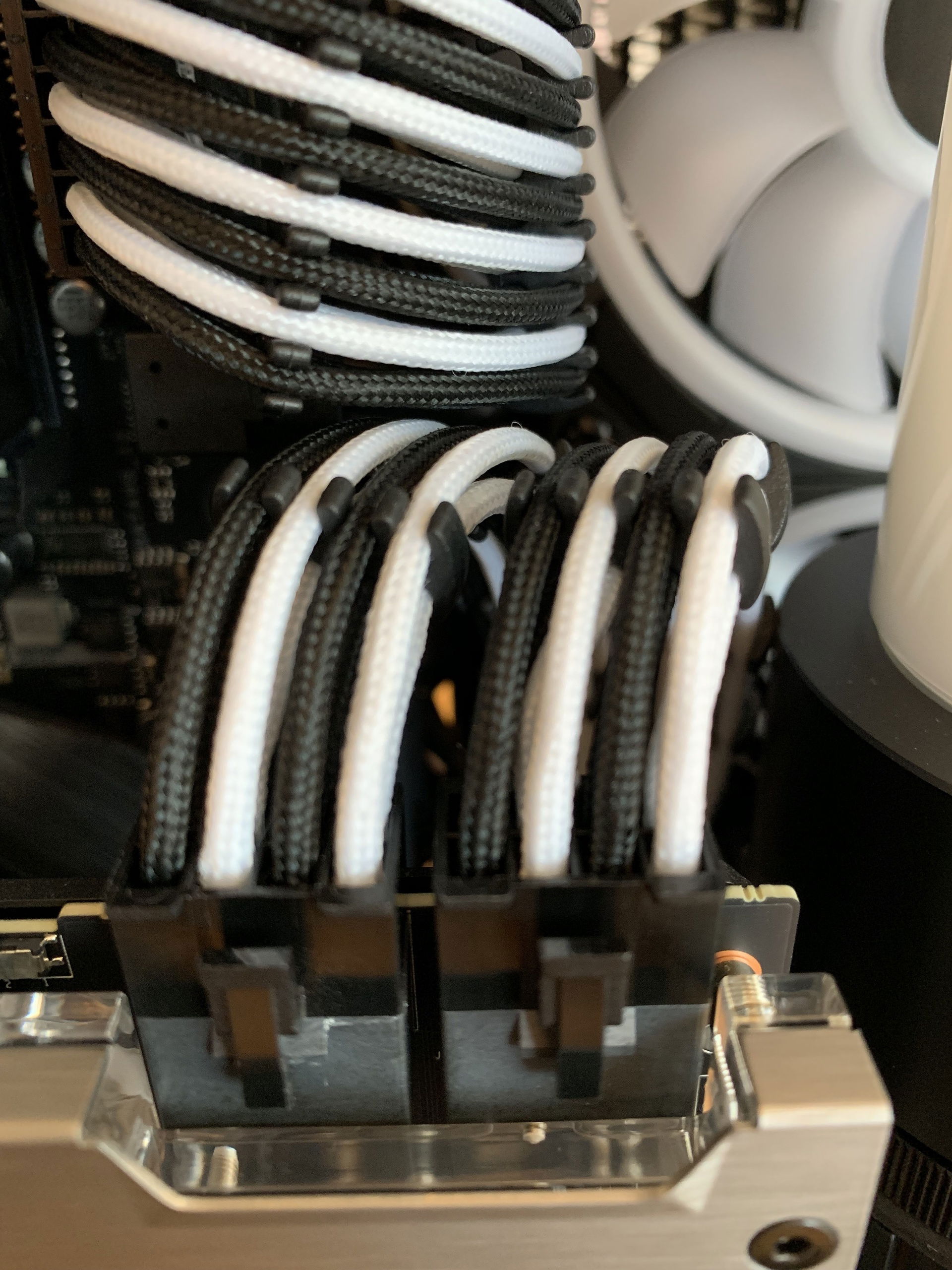 My First Custom Liquid Loop » builds.gg