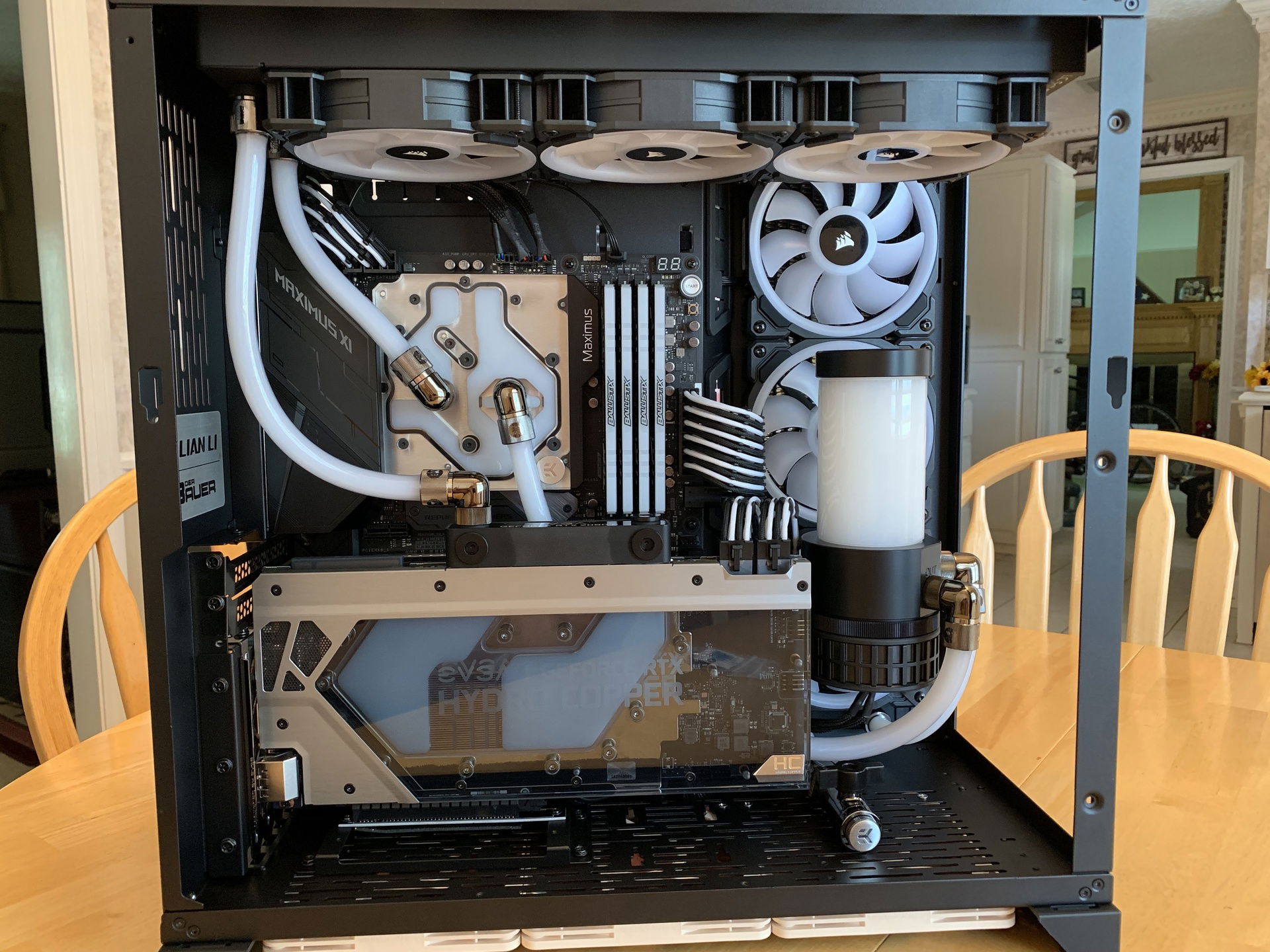 My First Custom Liquid Loop » builds.gg