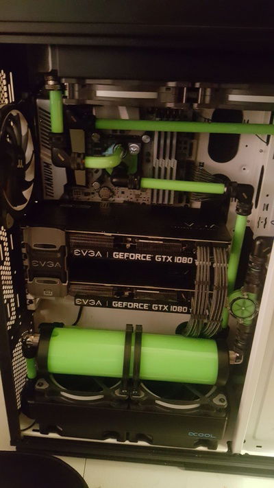 Plex Box » builds.gg