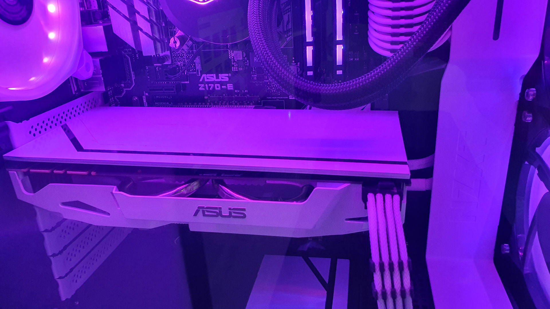 White Purple Build » builds.gg