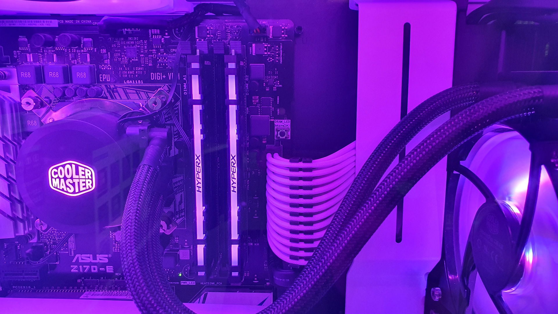White Purple Build » builds.gg