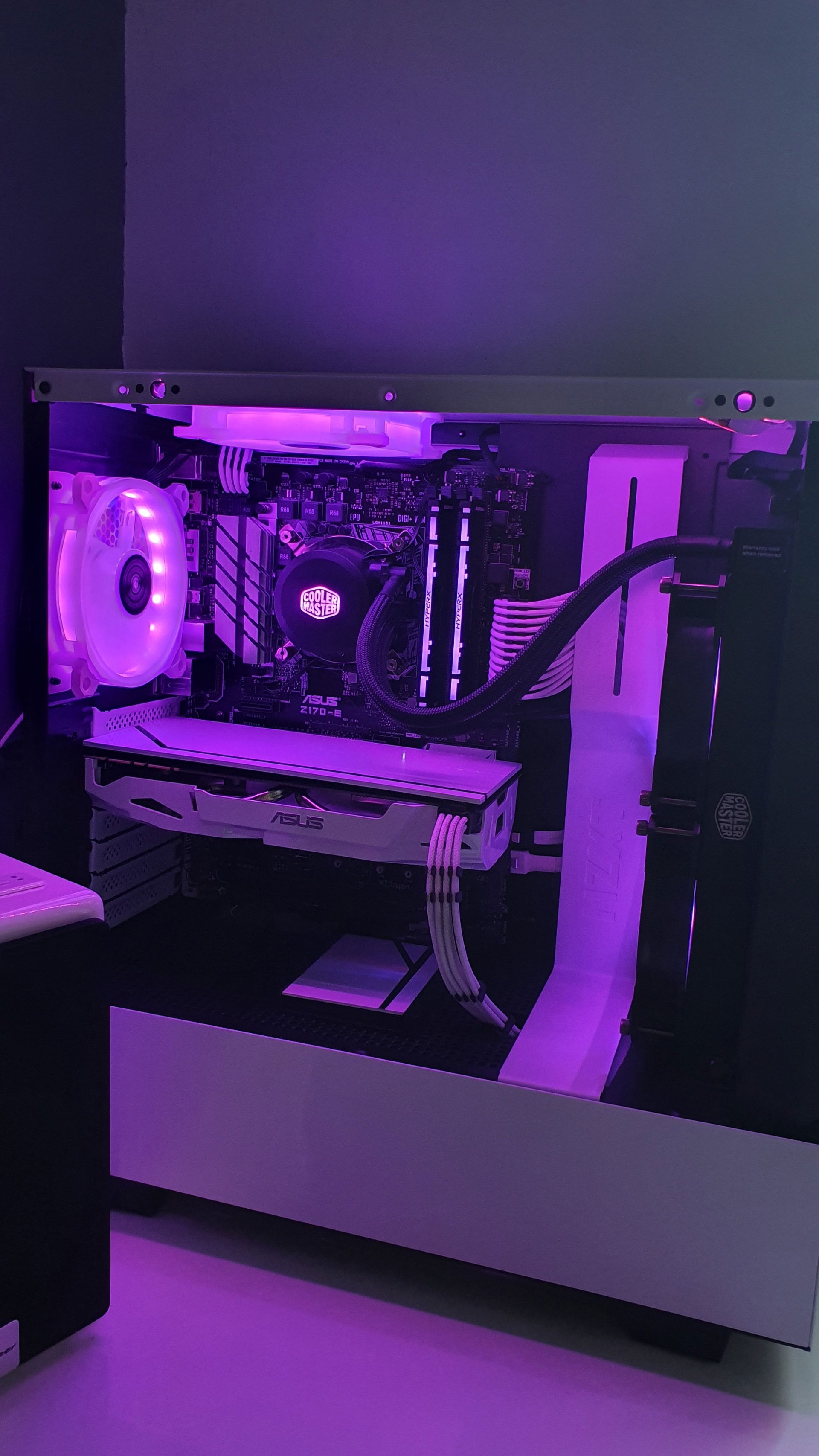 White Purple Build » builds.gg
