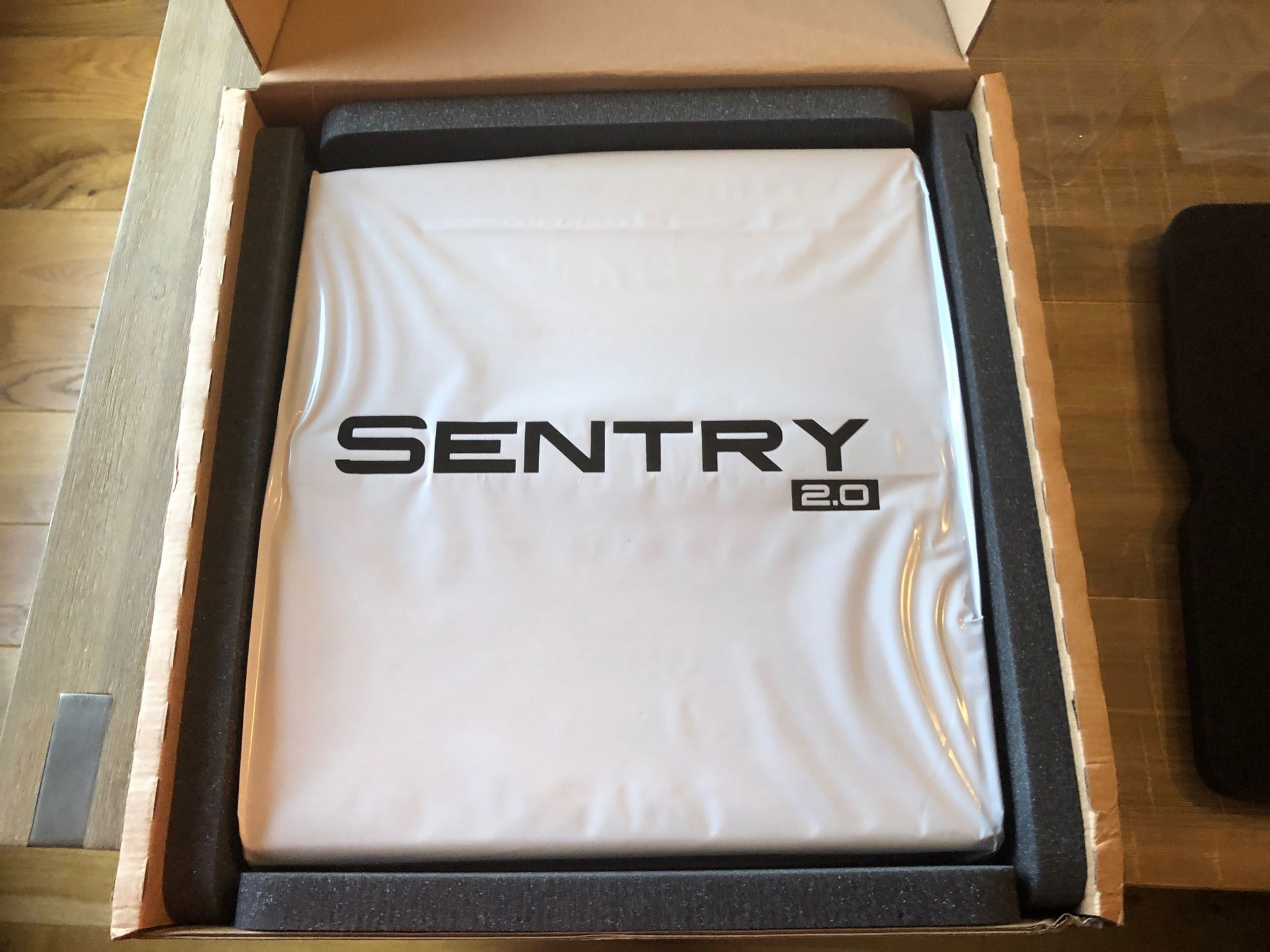 Sentry 2.0 LAN Build » builds.gg