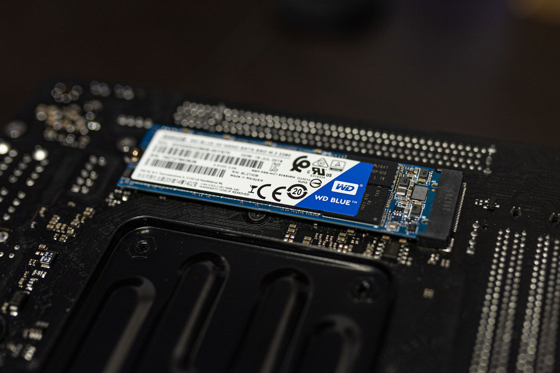 Apple Birch (for parents) » builds.gg