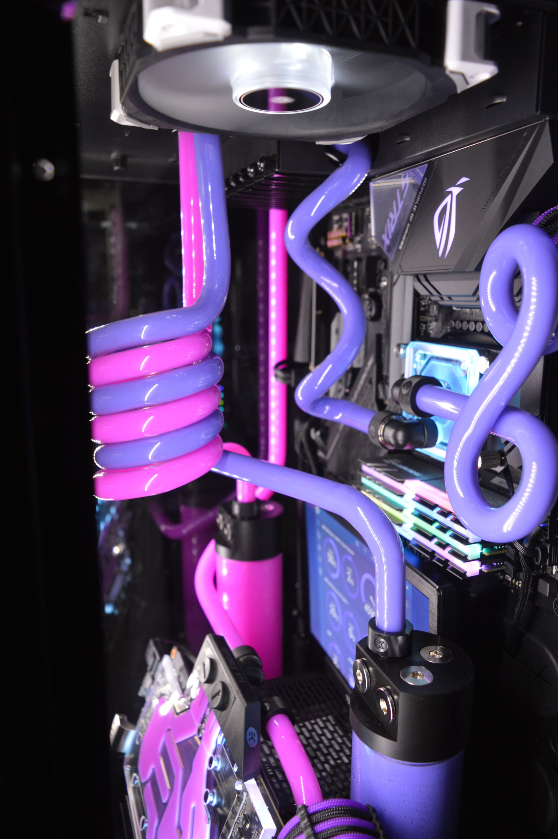 The Tower 900 » builds.gg