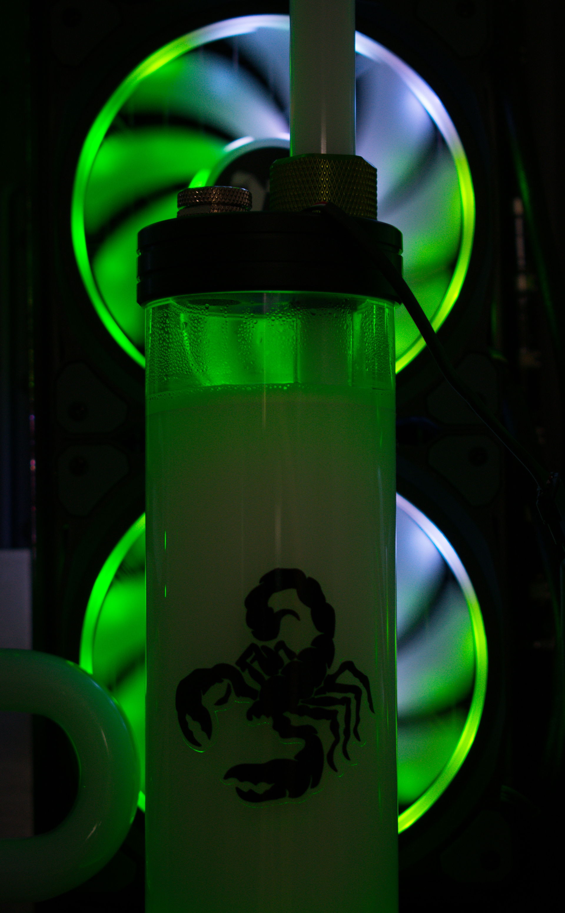 Scorpion One » builds.gg