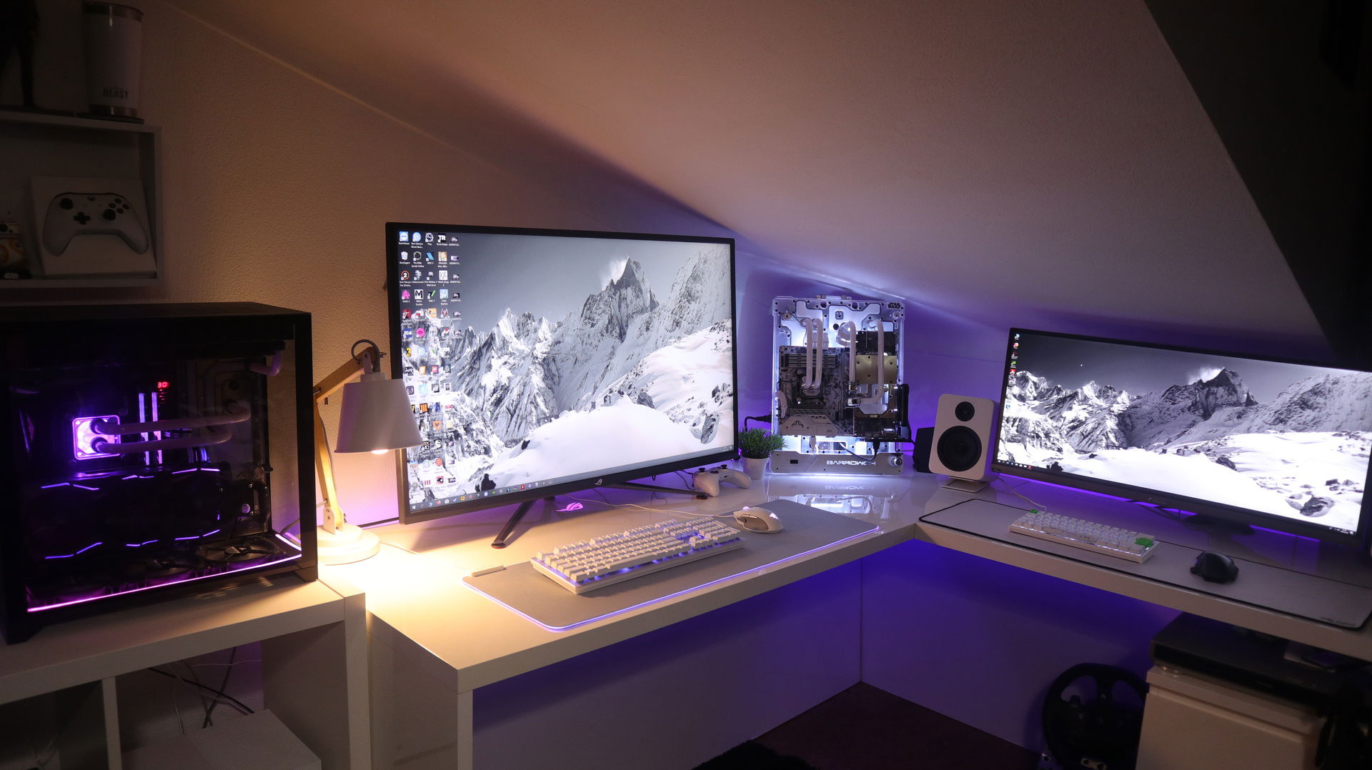 Rhopilema » builds.gg