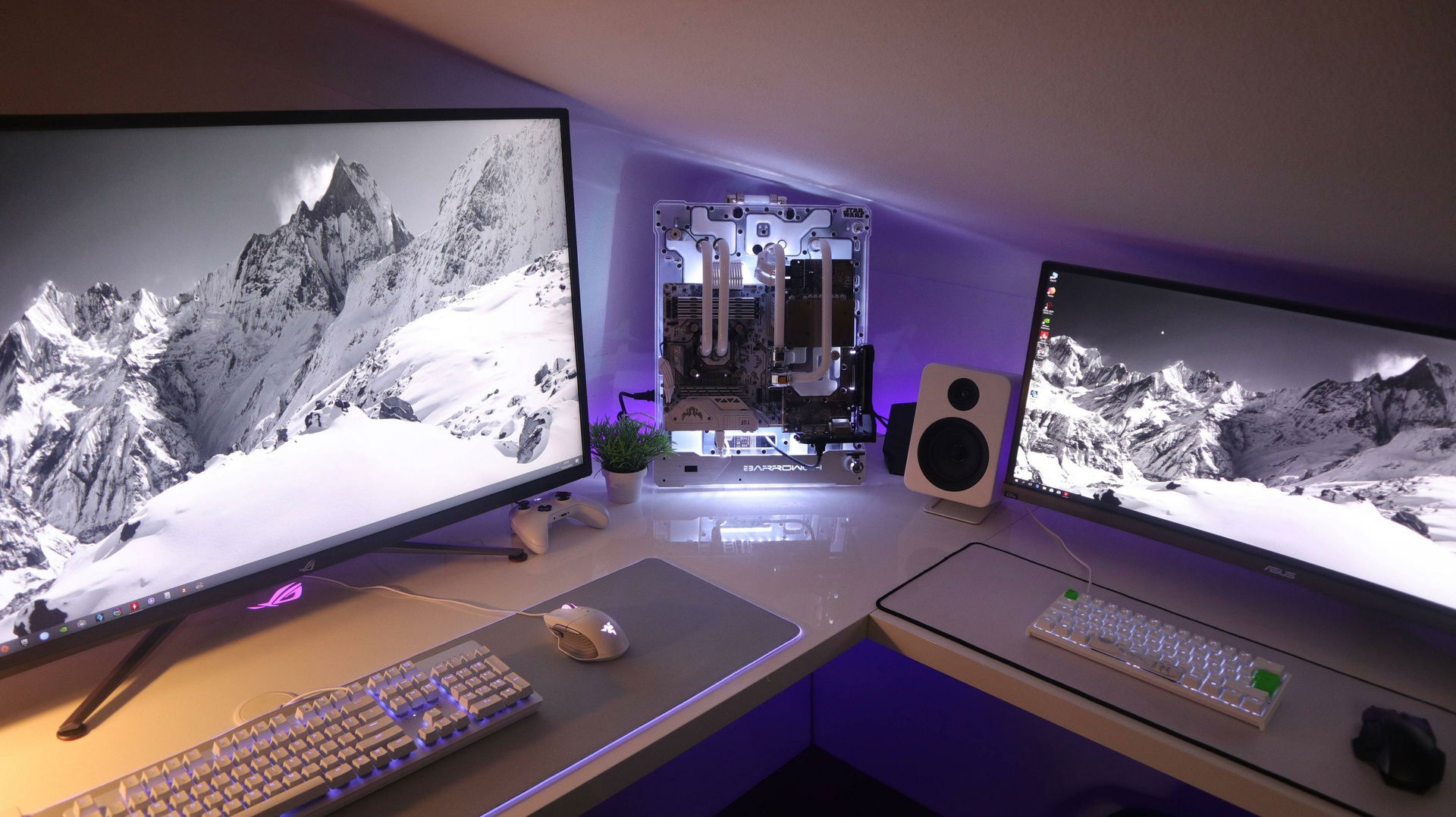 Rhopilema » builds.gg