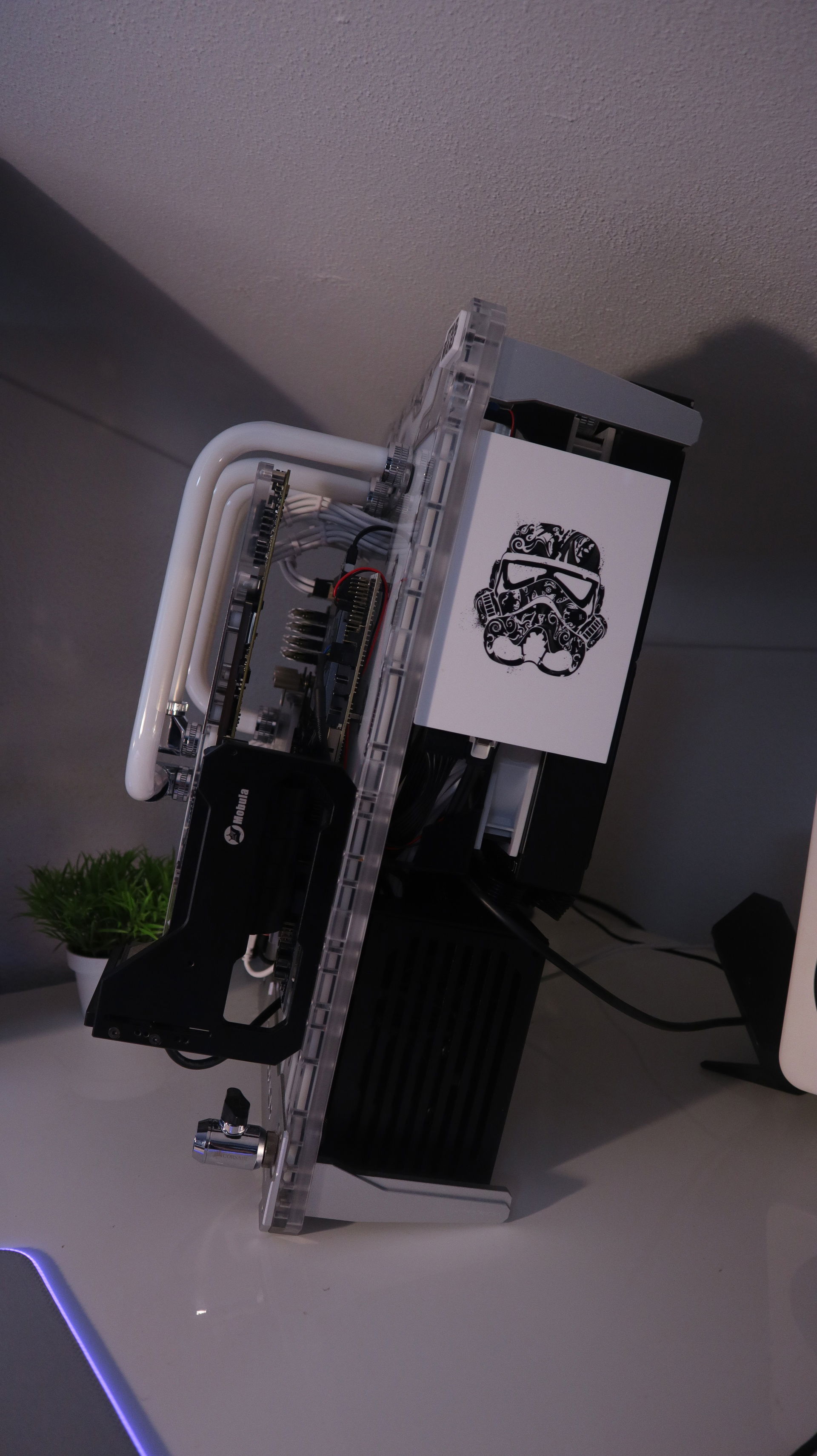 Rhopilema » builds.gg