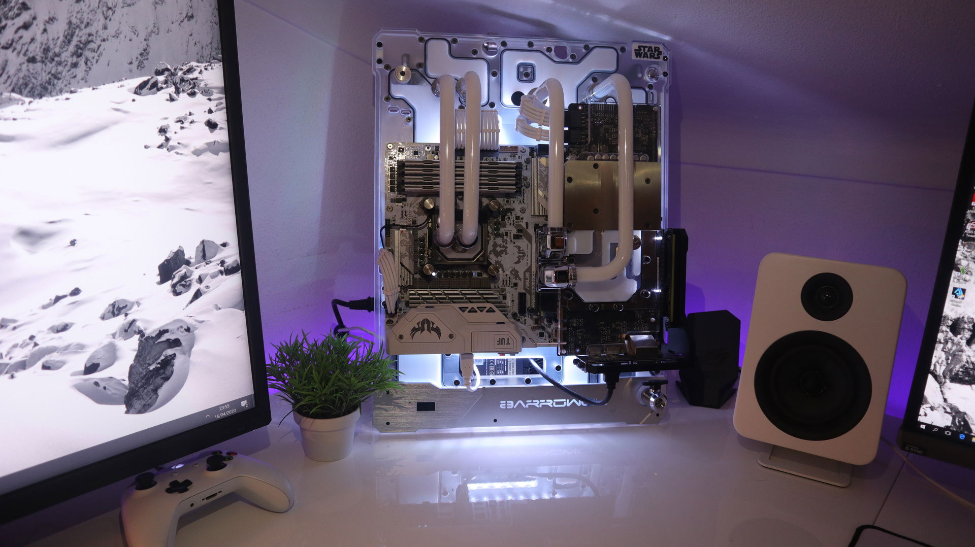 Rhopilema » builds.gg