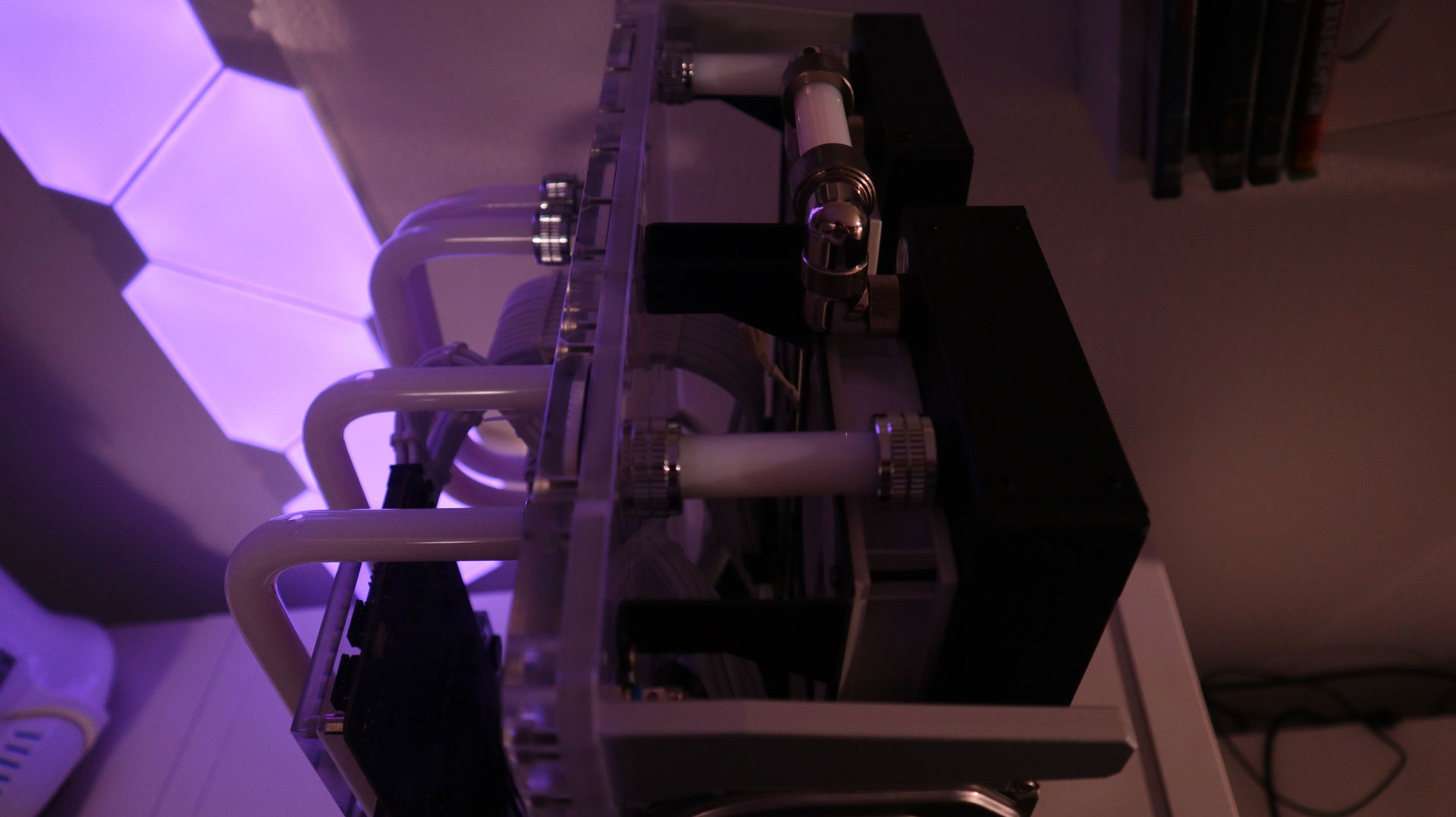 Rhopilema » builds.gg