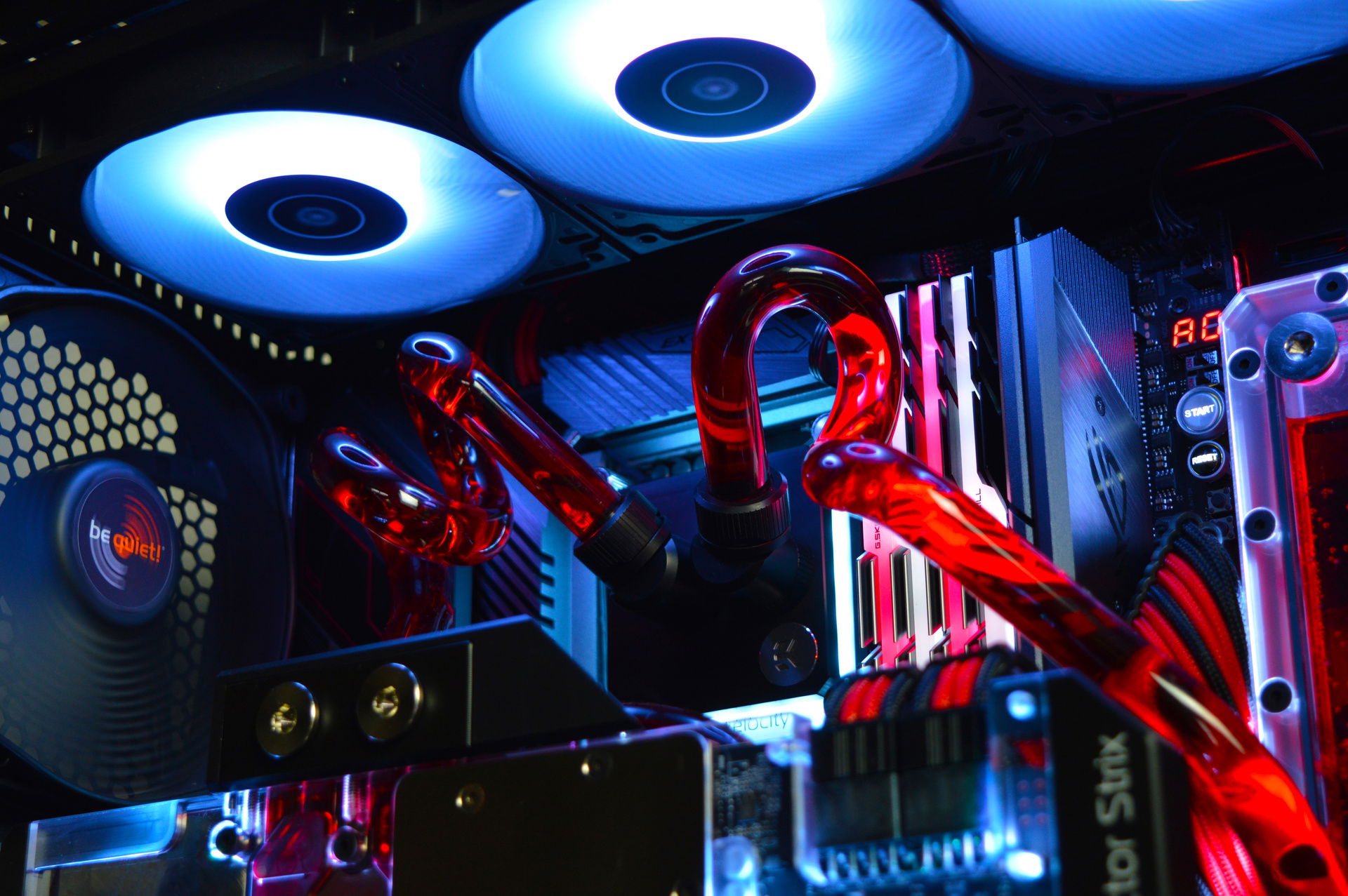 Transfusion » builds.gg