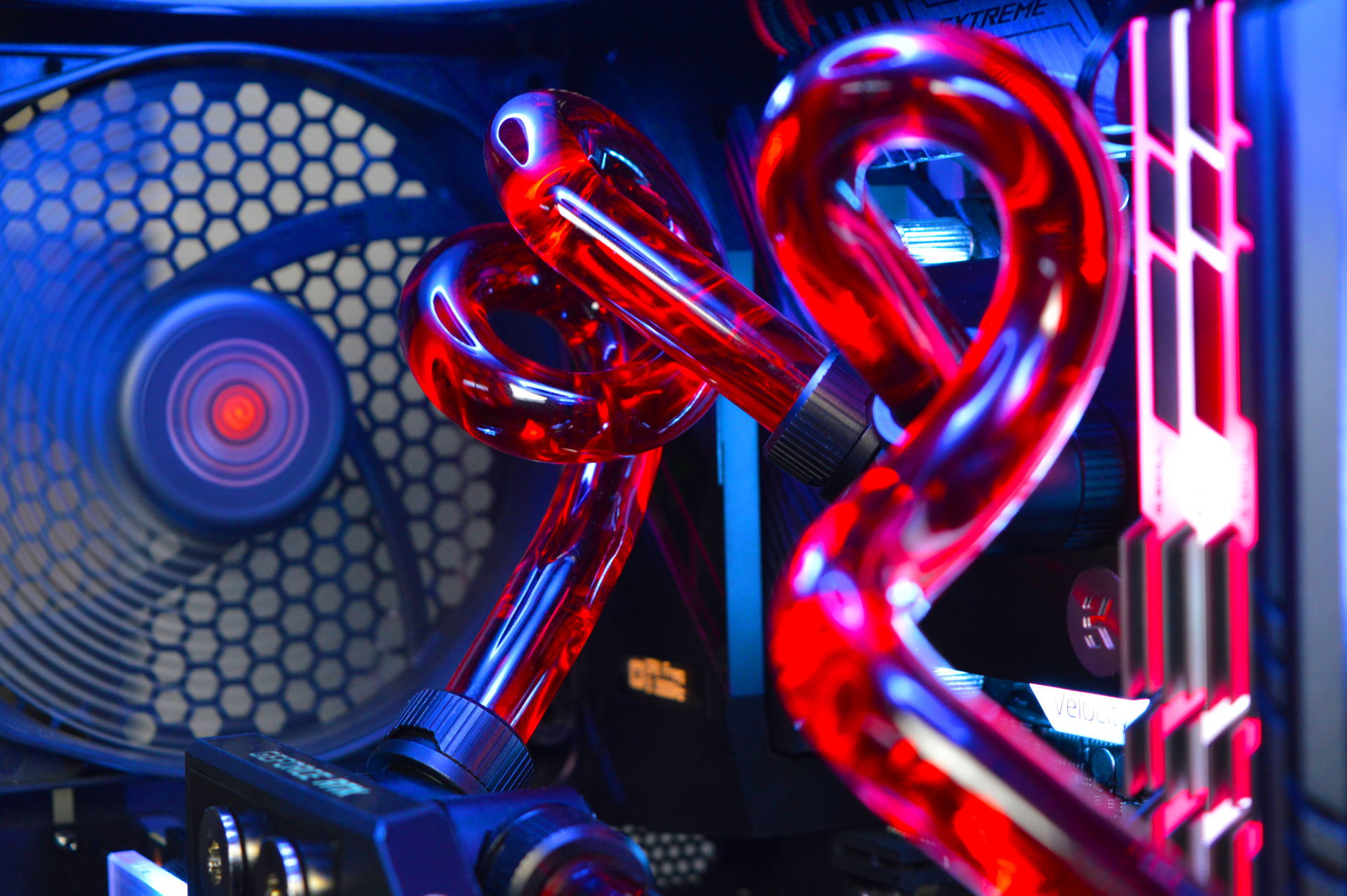 Transfusion » builds.gg