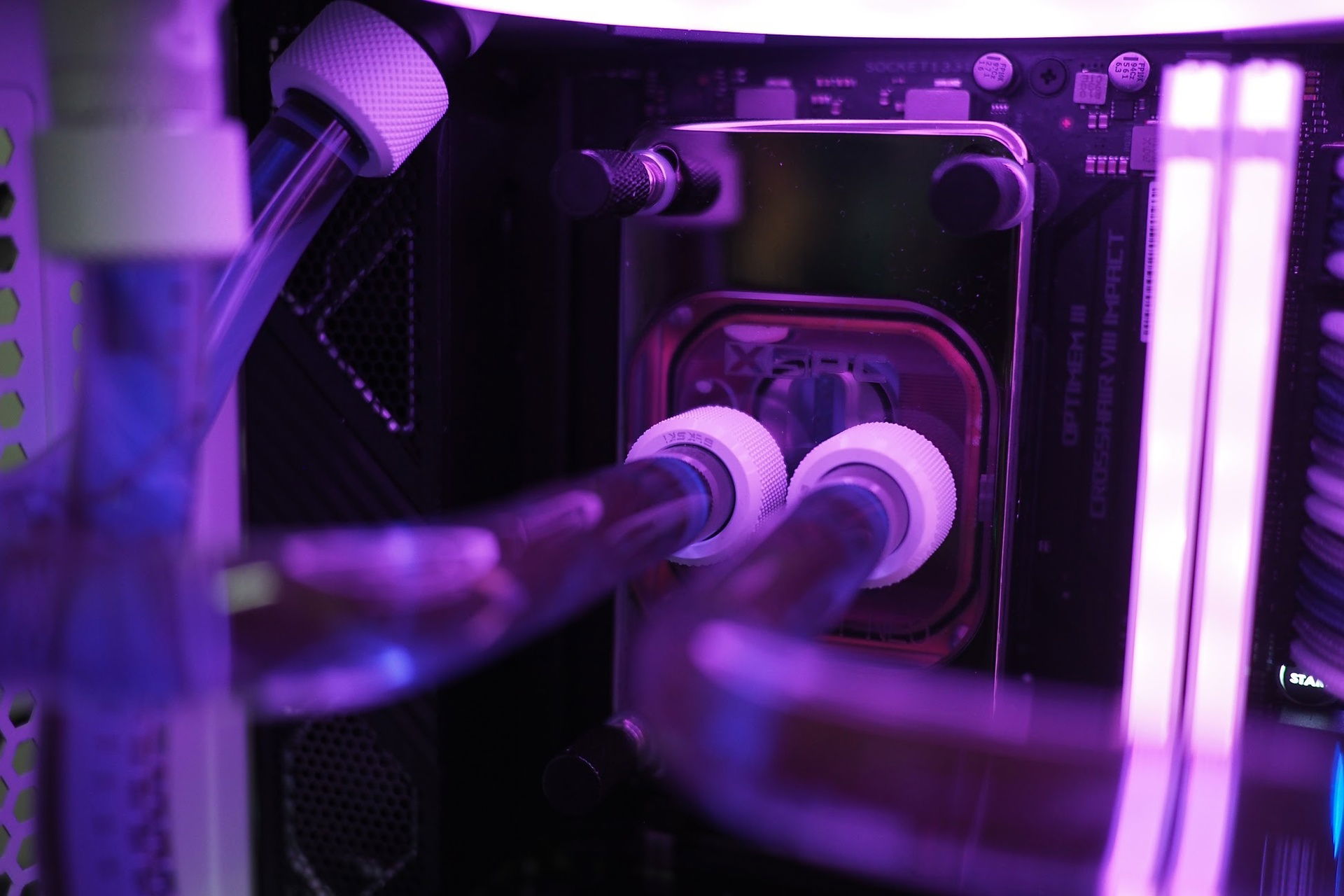 I like purple » builds.gg