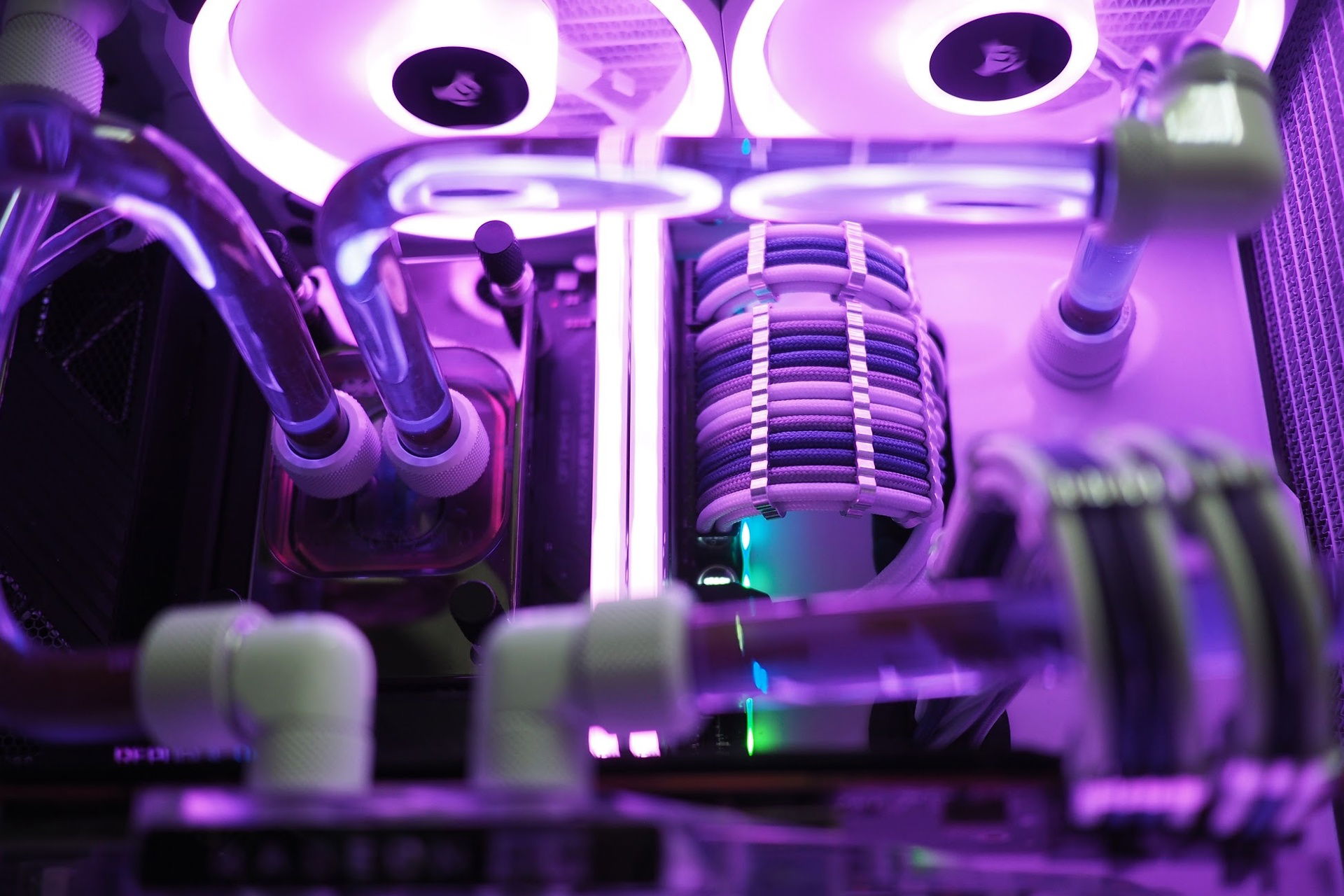 I like purple » builds.gg