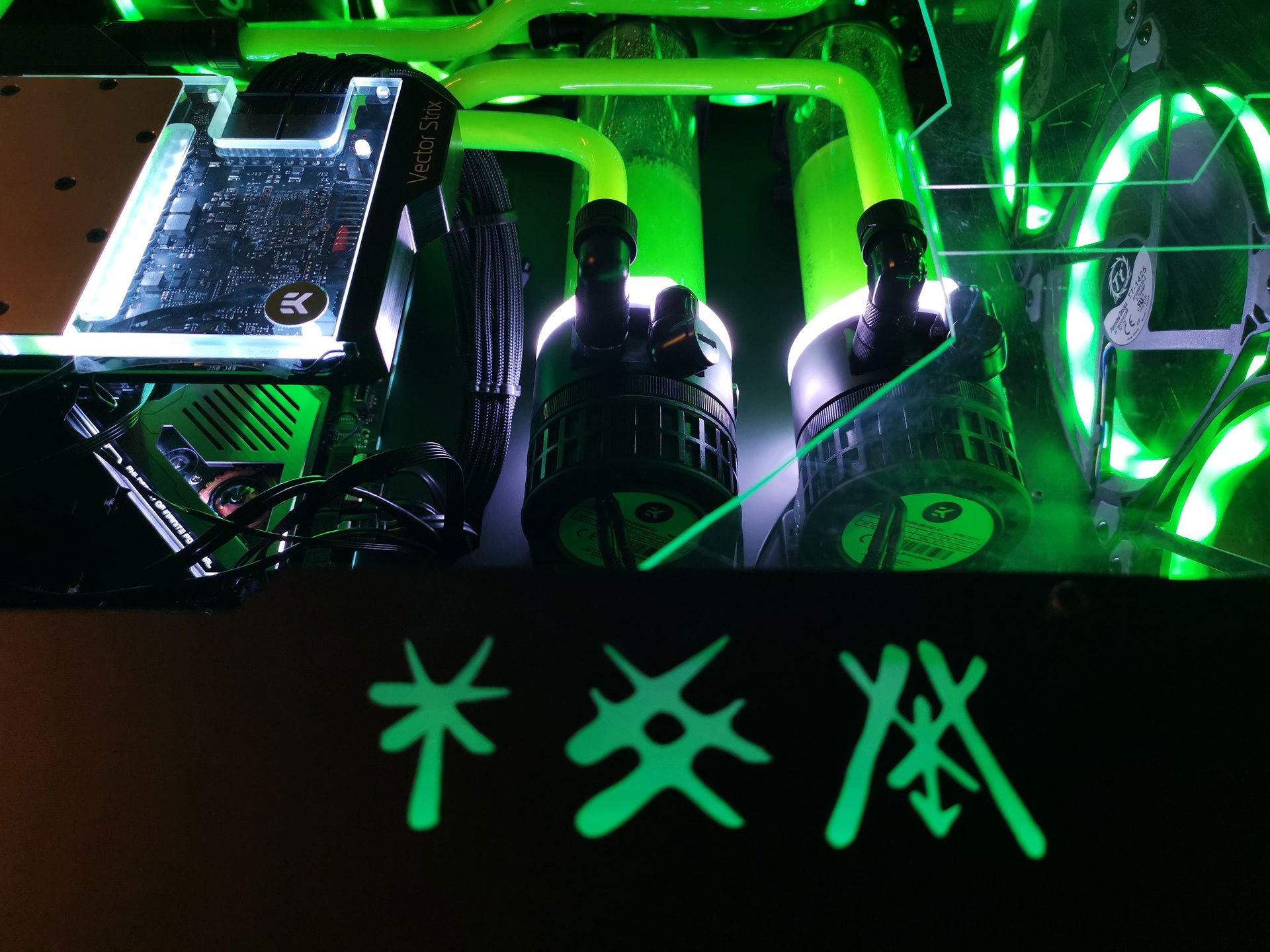 Customer Build. 27 - Skaven Machine » builds.gg