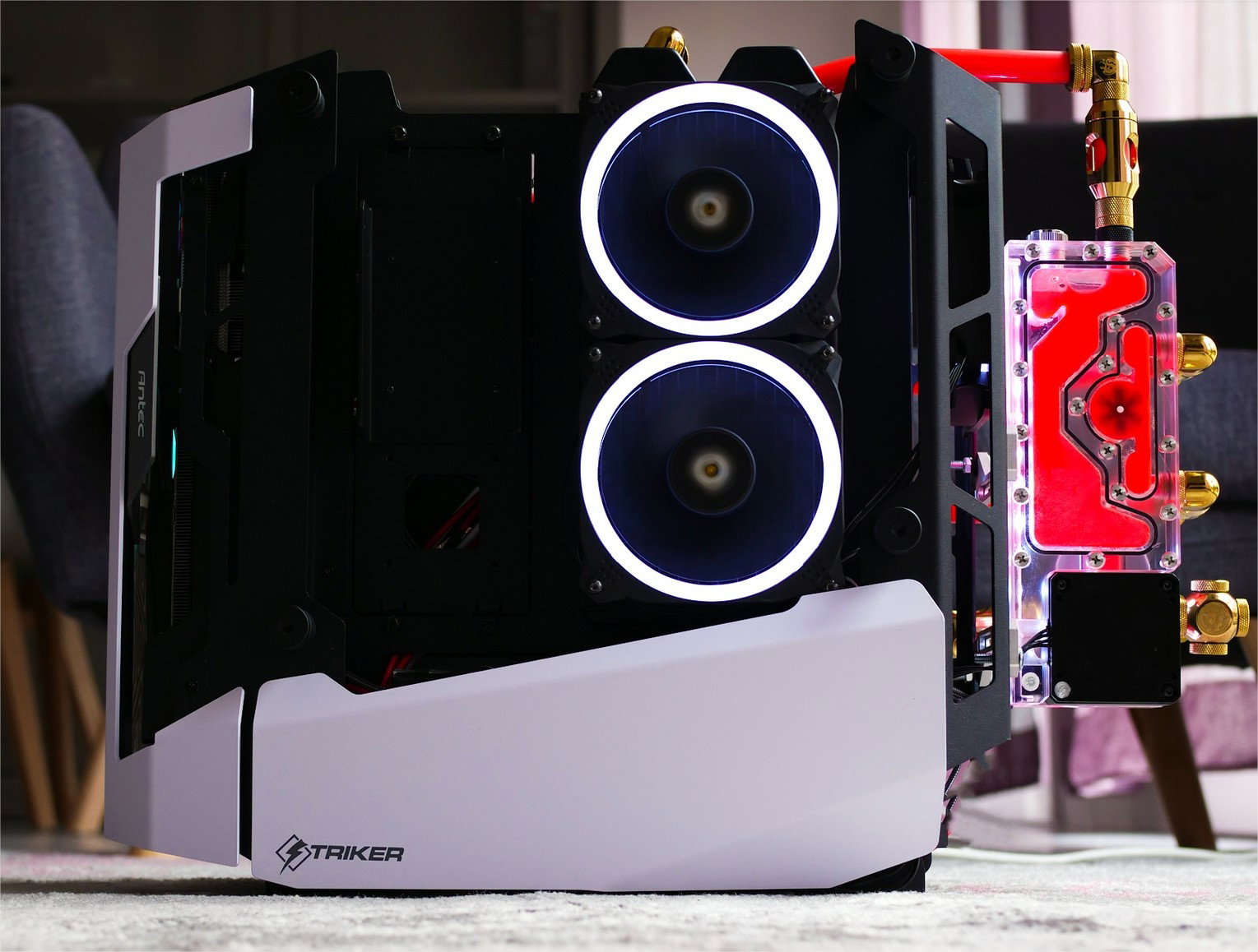Striker Maya » builds.gg