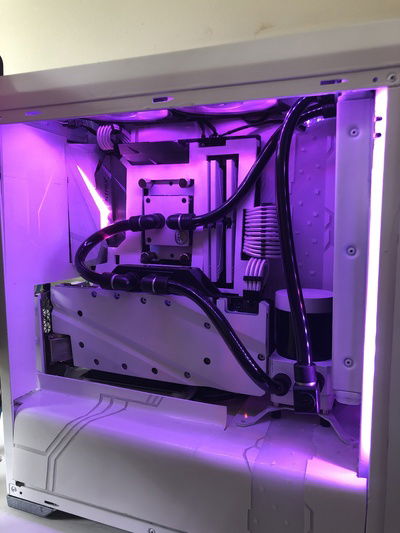 Torrent Compact » builds.gg