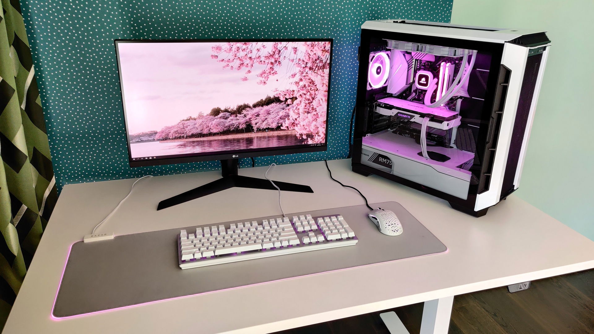 Black and White (And RGB ofc) themed gaming PC for my sister » builds.gg