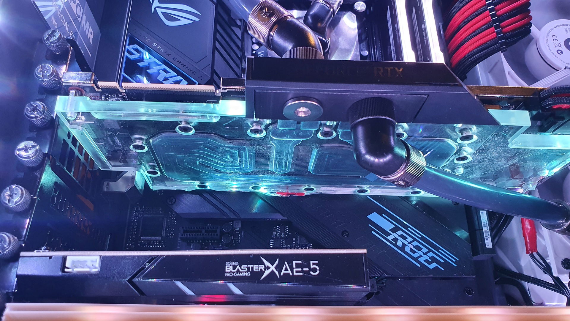 TERMINATOR » builds.gg