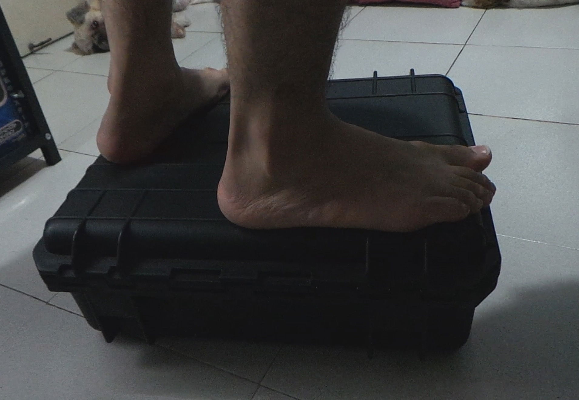 Portable Rig with Monitor » builds.gg