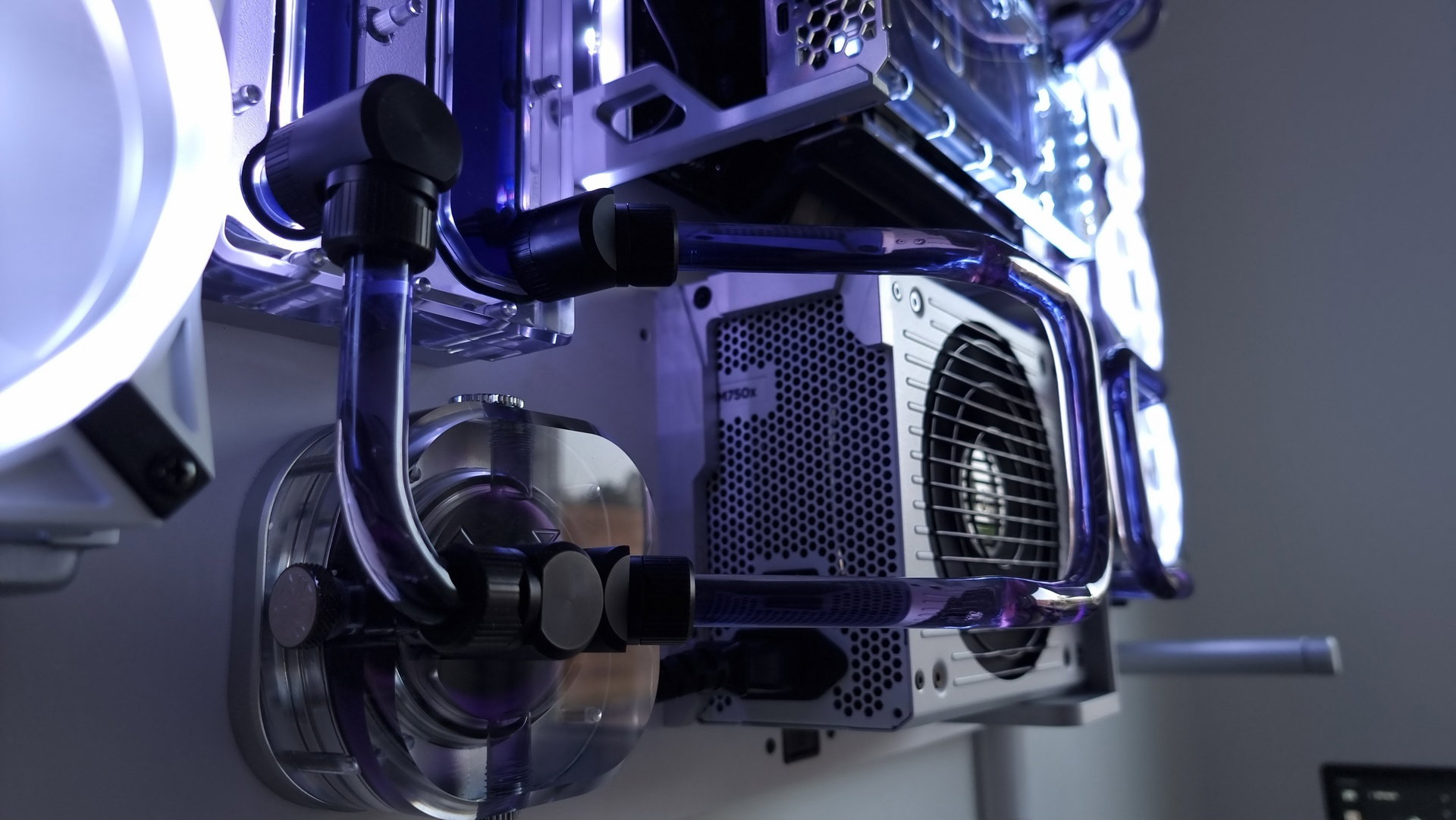 The Crow » builds.gg