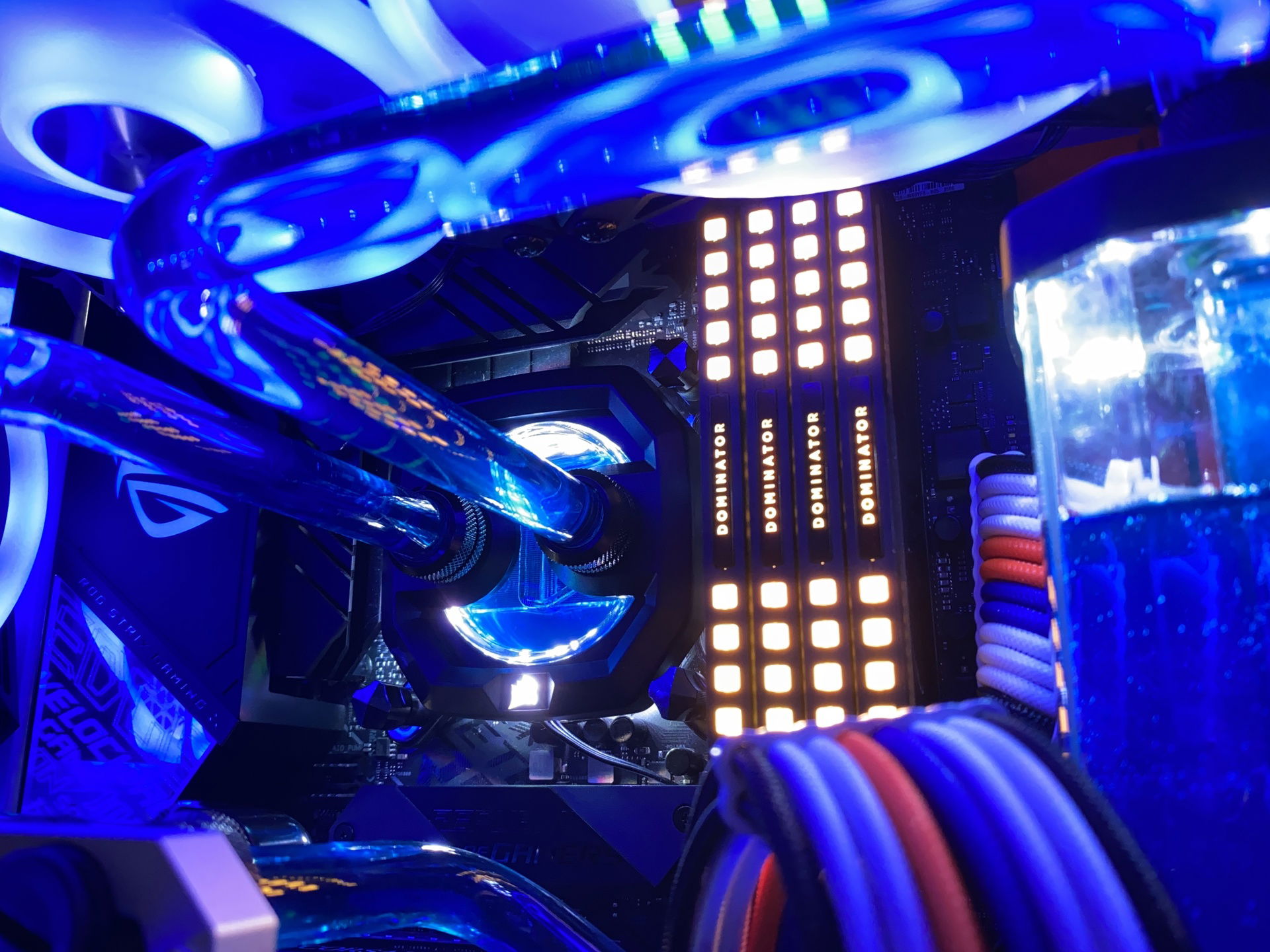 Adidas ZX » builds.gg