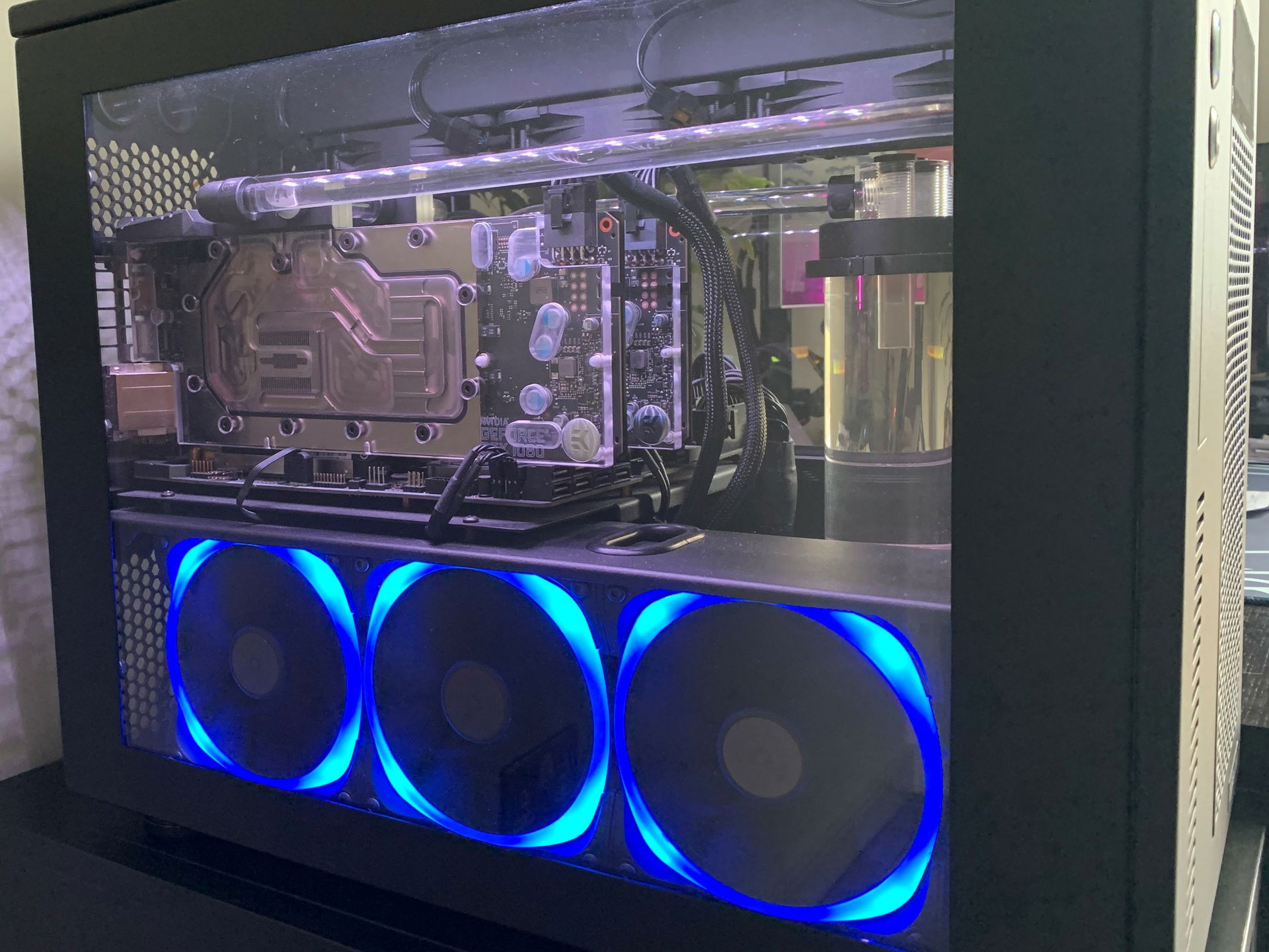 Caselabs Mercury S5 » builds.gg