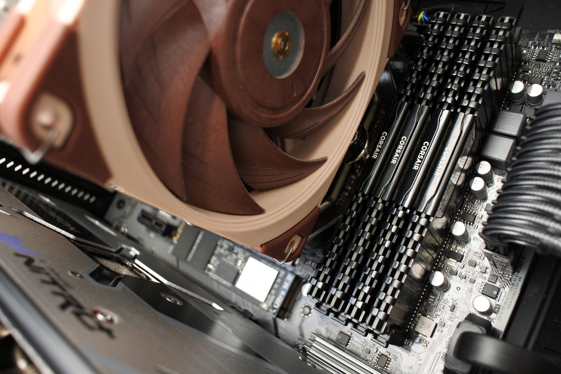 CyberOwl v2 » builds.gg