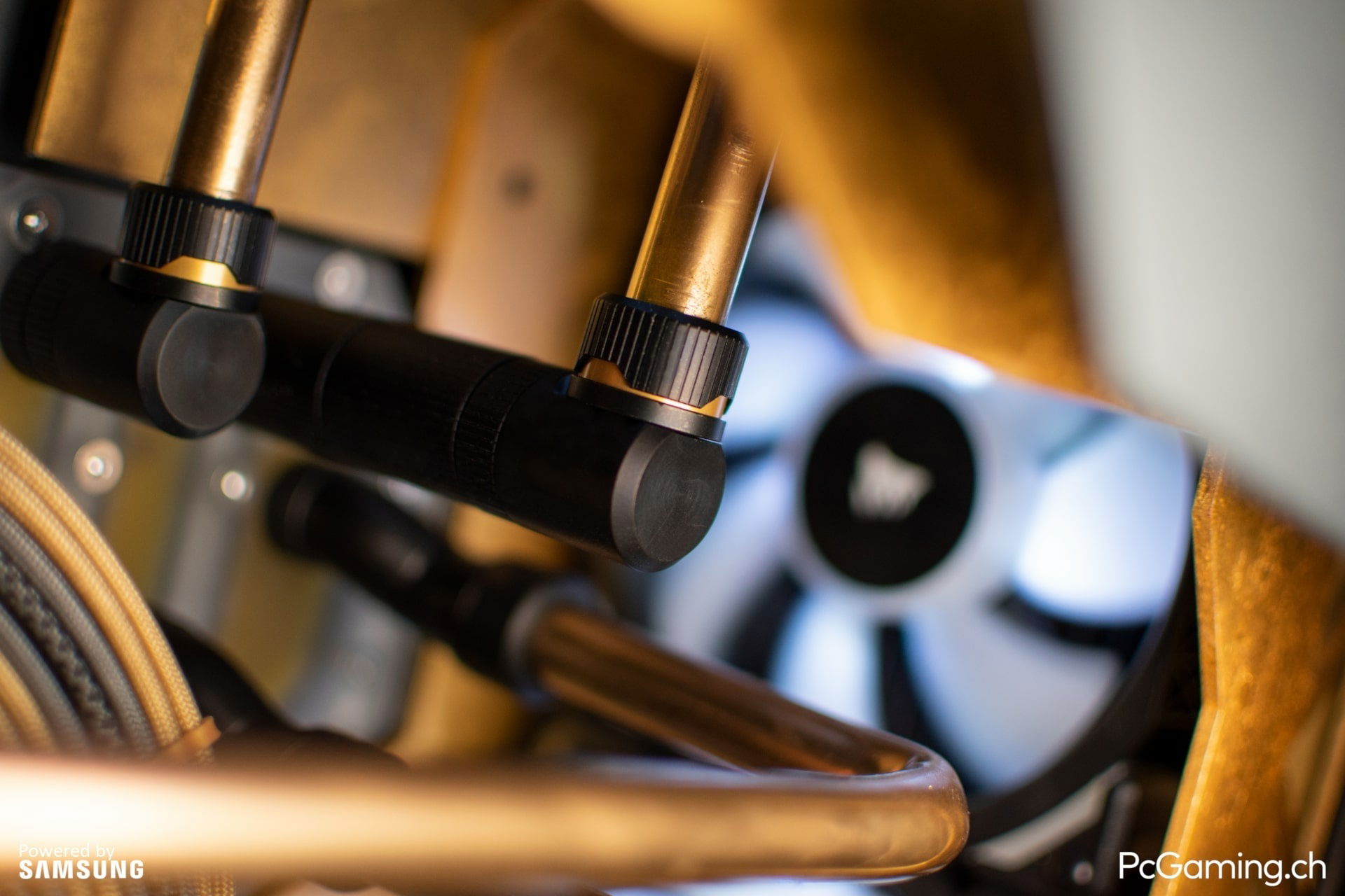 24 carat gold PC » builds.gg