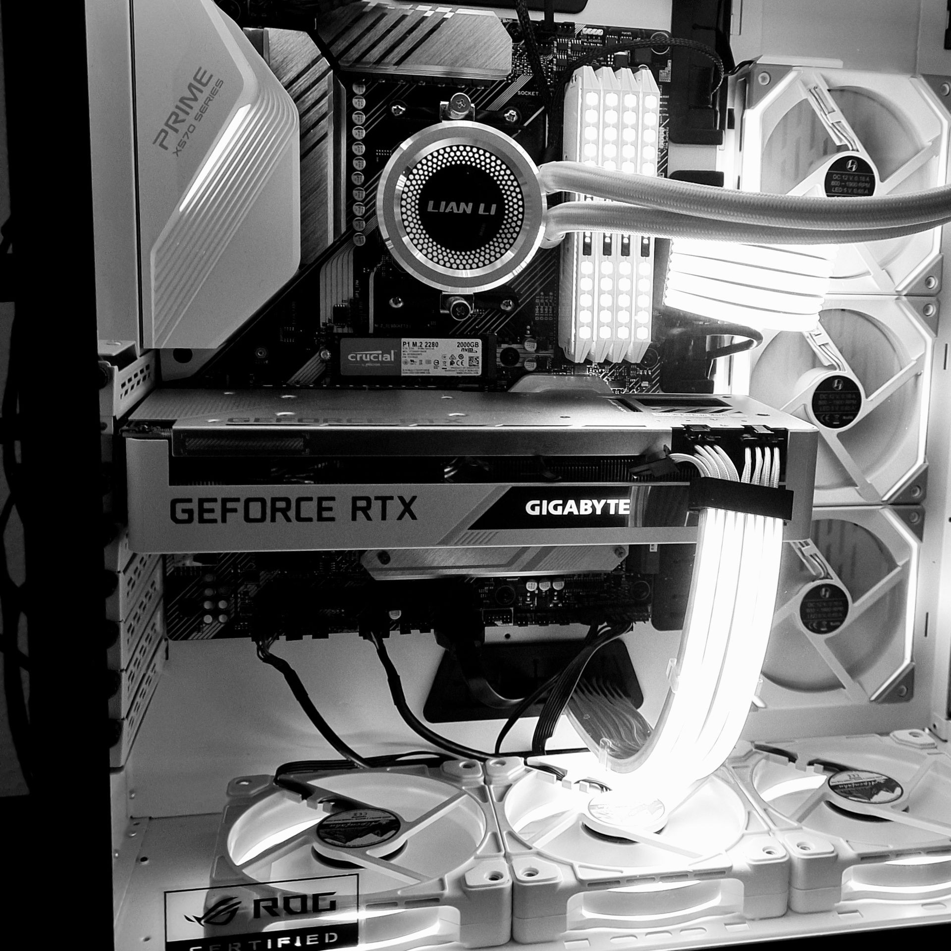Bright white build » builds.gg