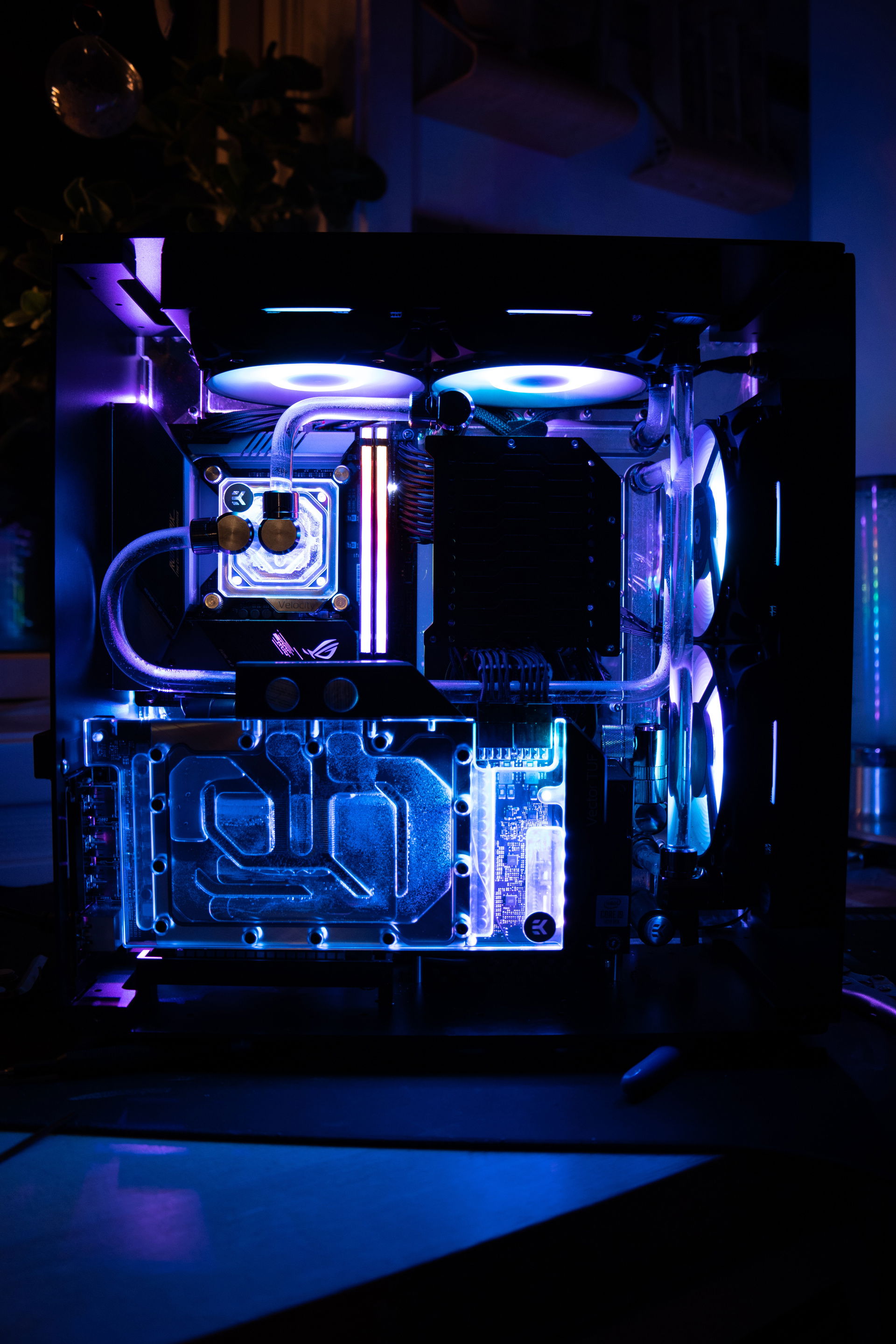 The Wraith Build » builds.gg