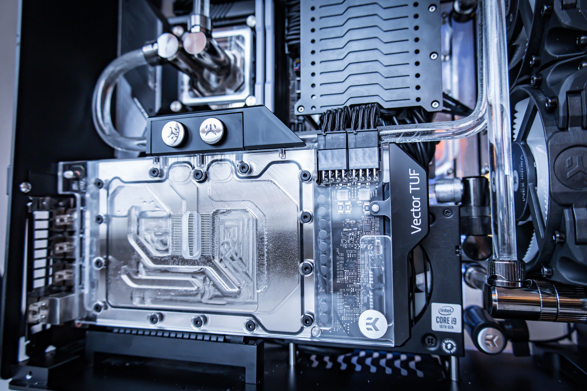 The Wraith Build » builds.gg