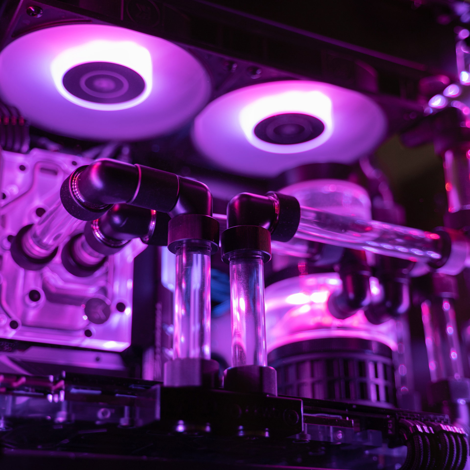 RGB BOX » builds.gg