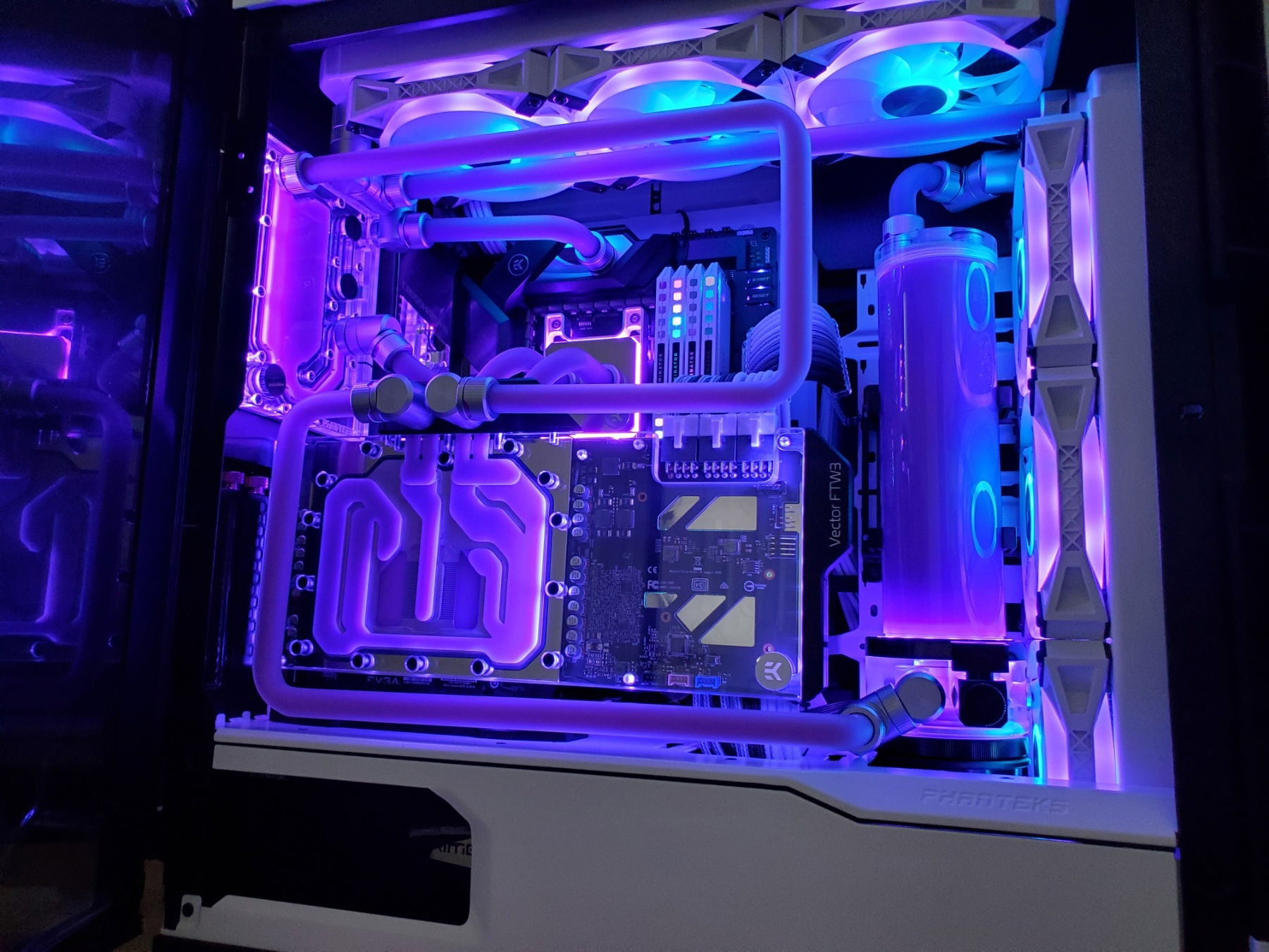Purple is My Favorite Color » builds.gg