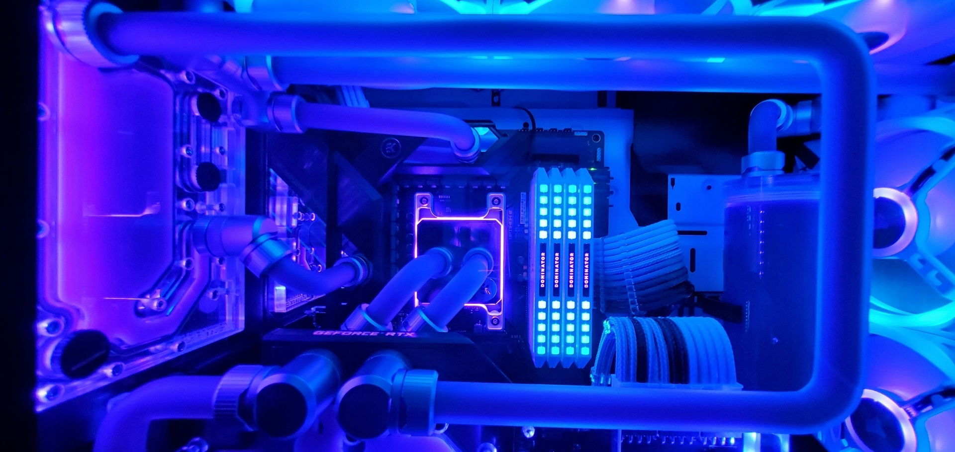 Purple is My Favorite Color » builds.gg