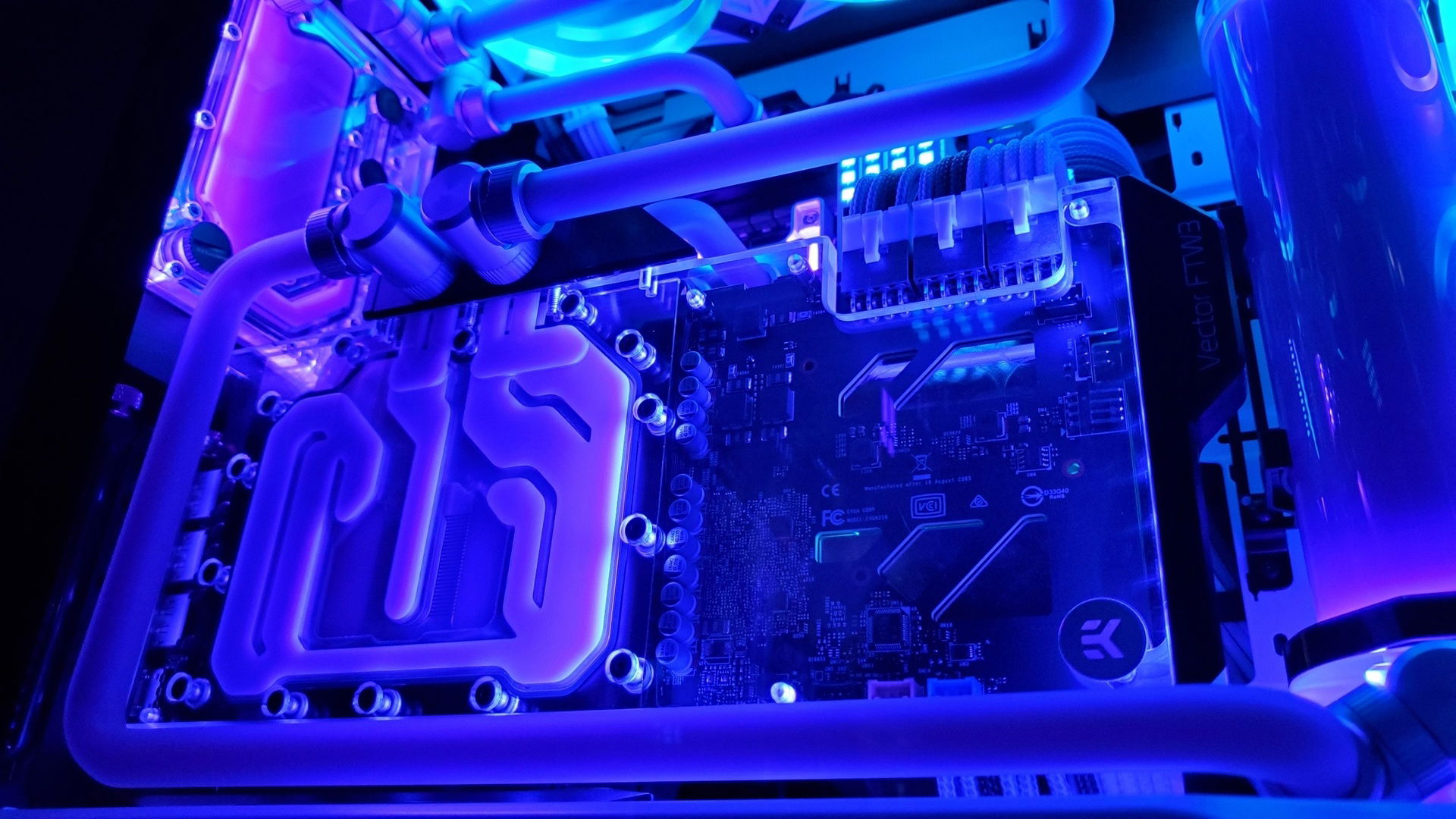 Purple is My Favorite Color » builds.gg