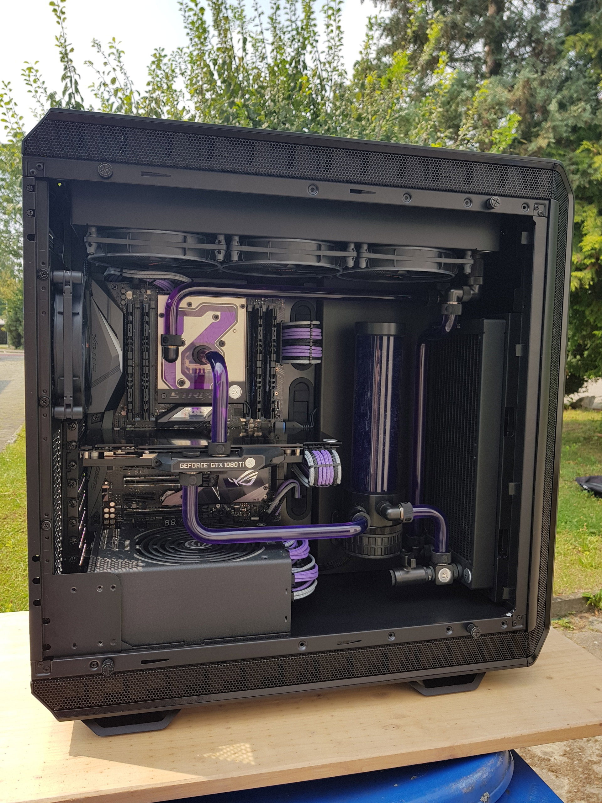 Purple Box » builds.gg
