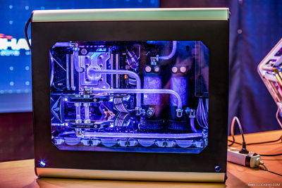 Client Build #56 " Rhopilema " Open waterway case build. » builds.gg
