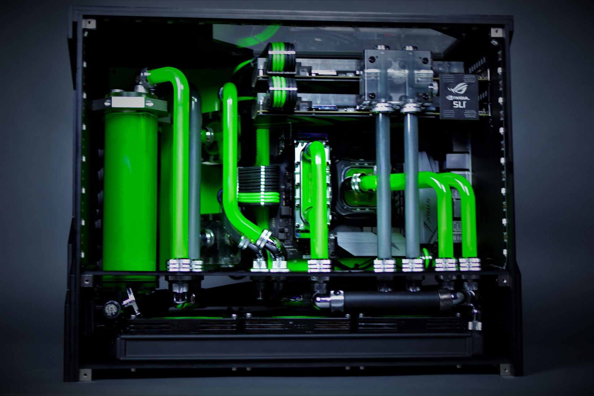 Project Predator » builds.gg