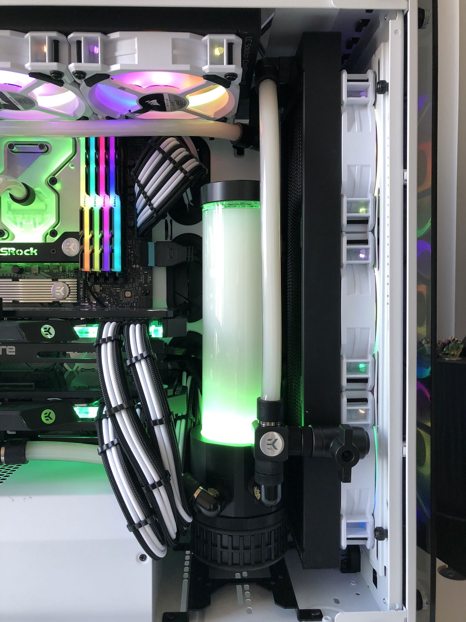 EKWB-RGB » builds.gg