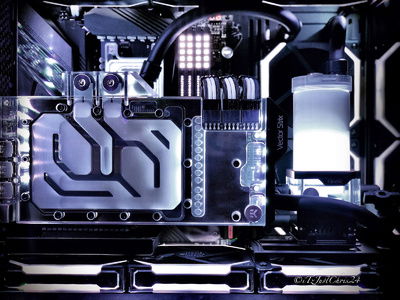 Custom Pc Build #51" Rogue " Cougar Conquer Essence » builds.gg