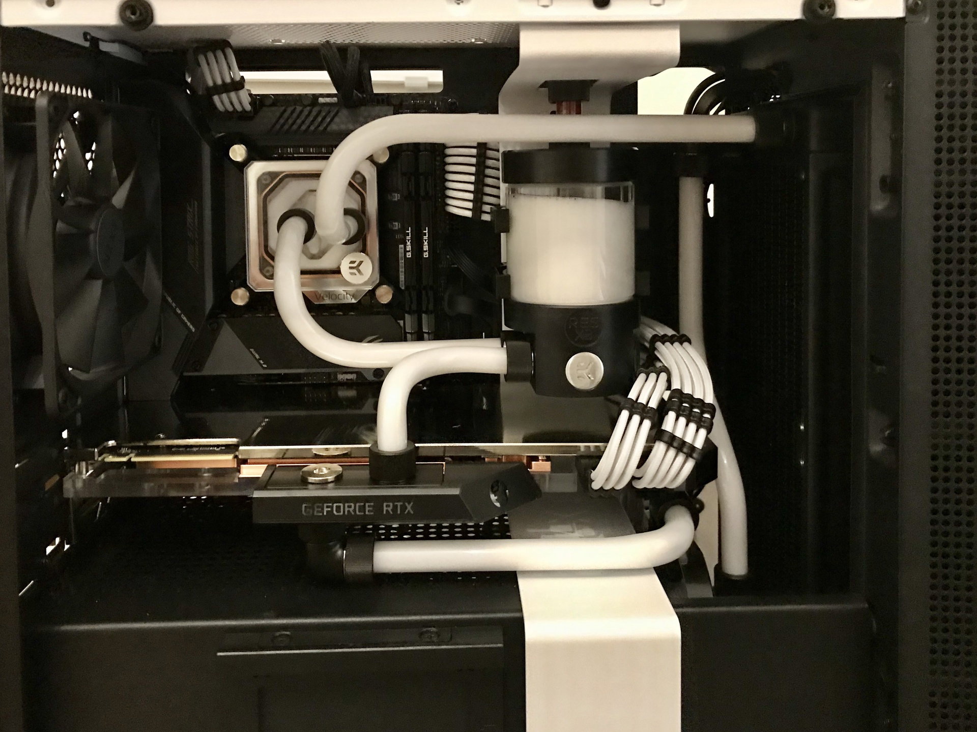 Frozen Steam » builds.gg