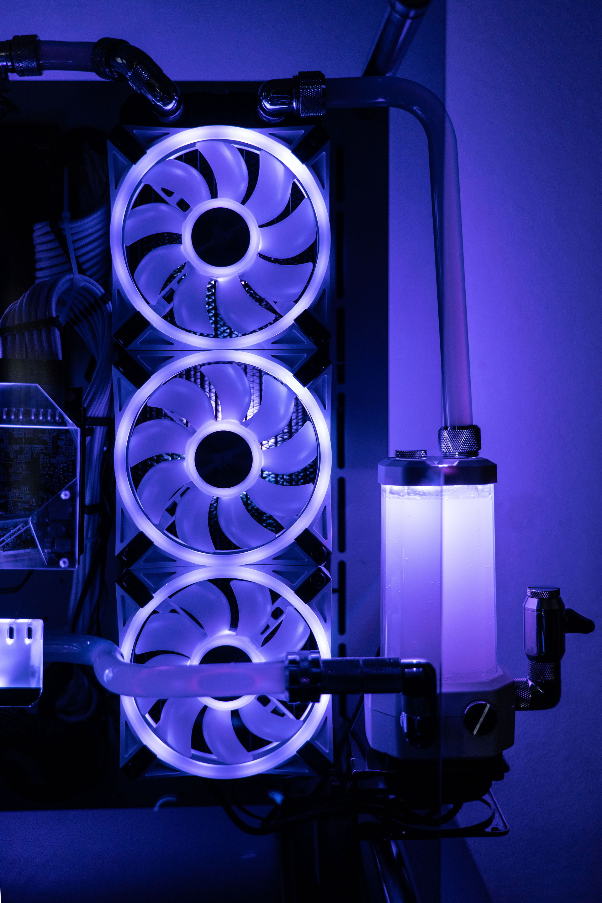 Purple Dream » builds.gg